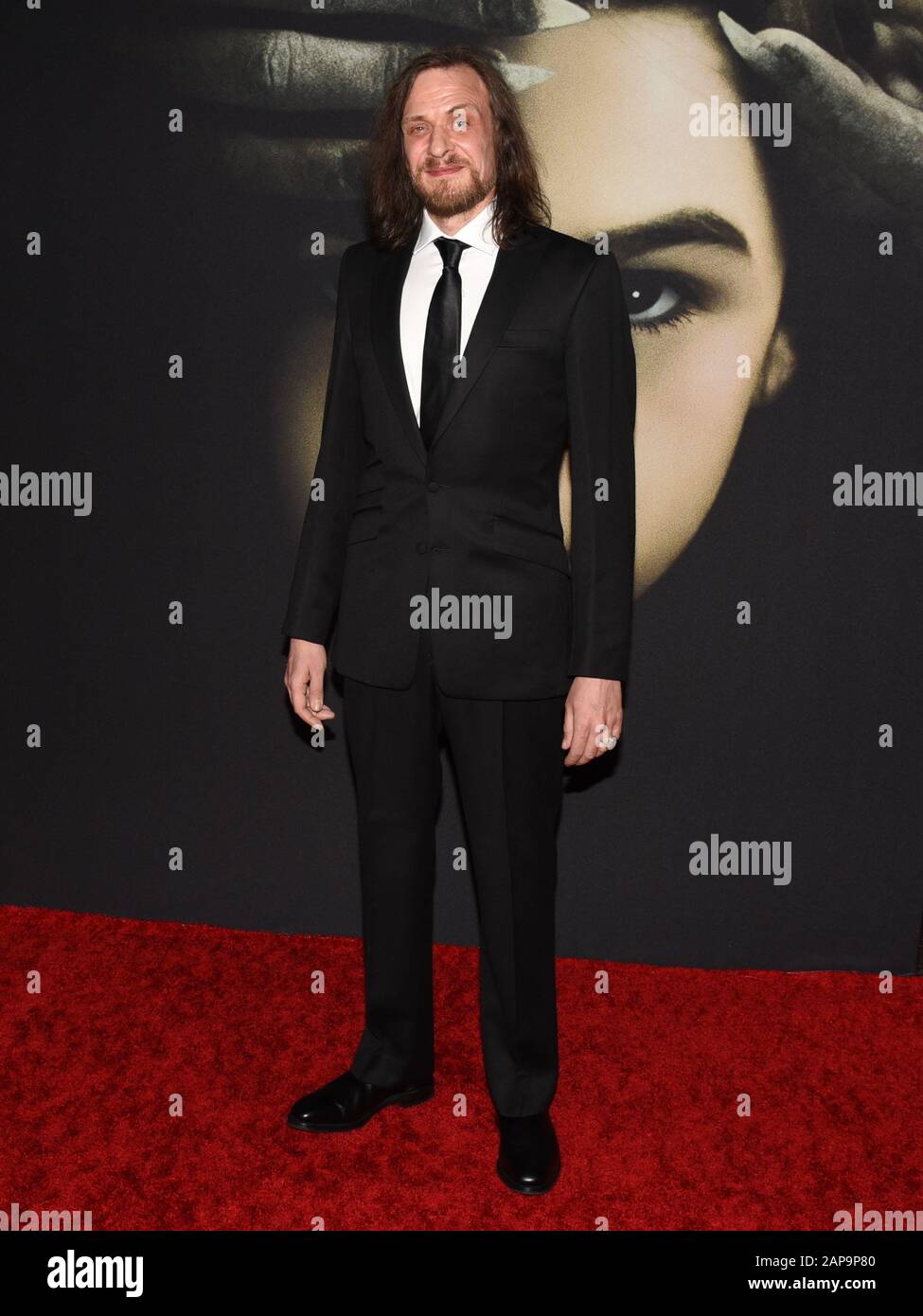 January 21, 2020, Hollywood, CA, USA: Niall Grreig Fulton at the ...