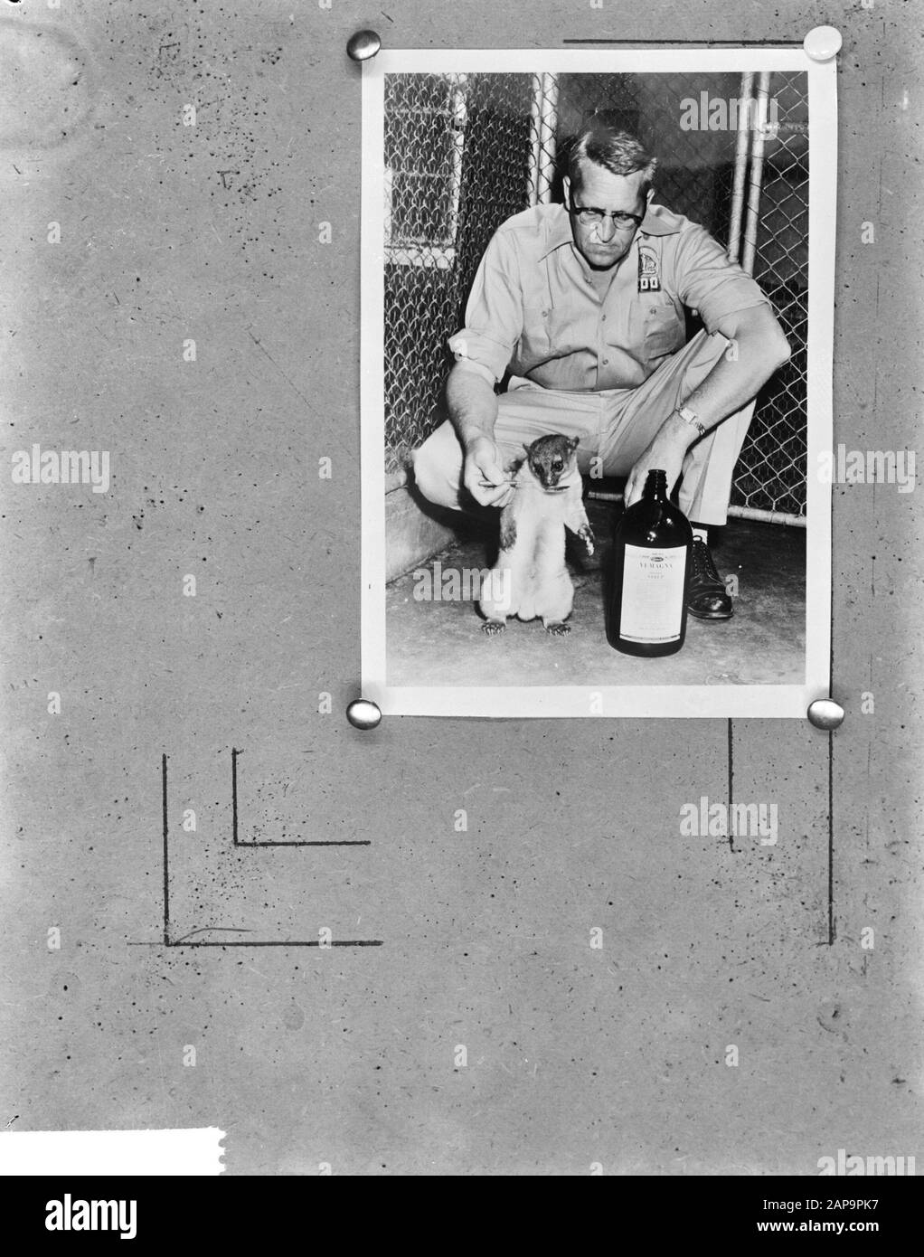 Protein diet Black and White Stock Photos & Images - Alamy