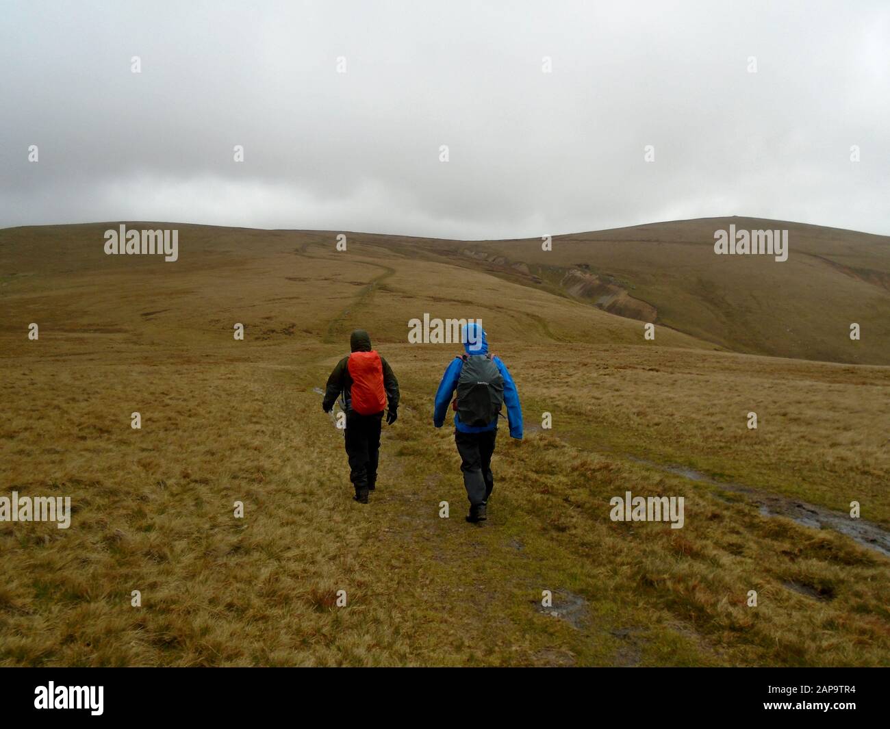 Two way path hi-res stock photography and images - Alamy