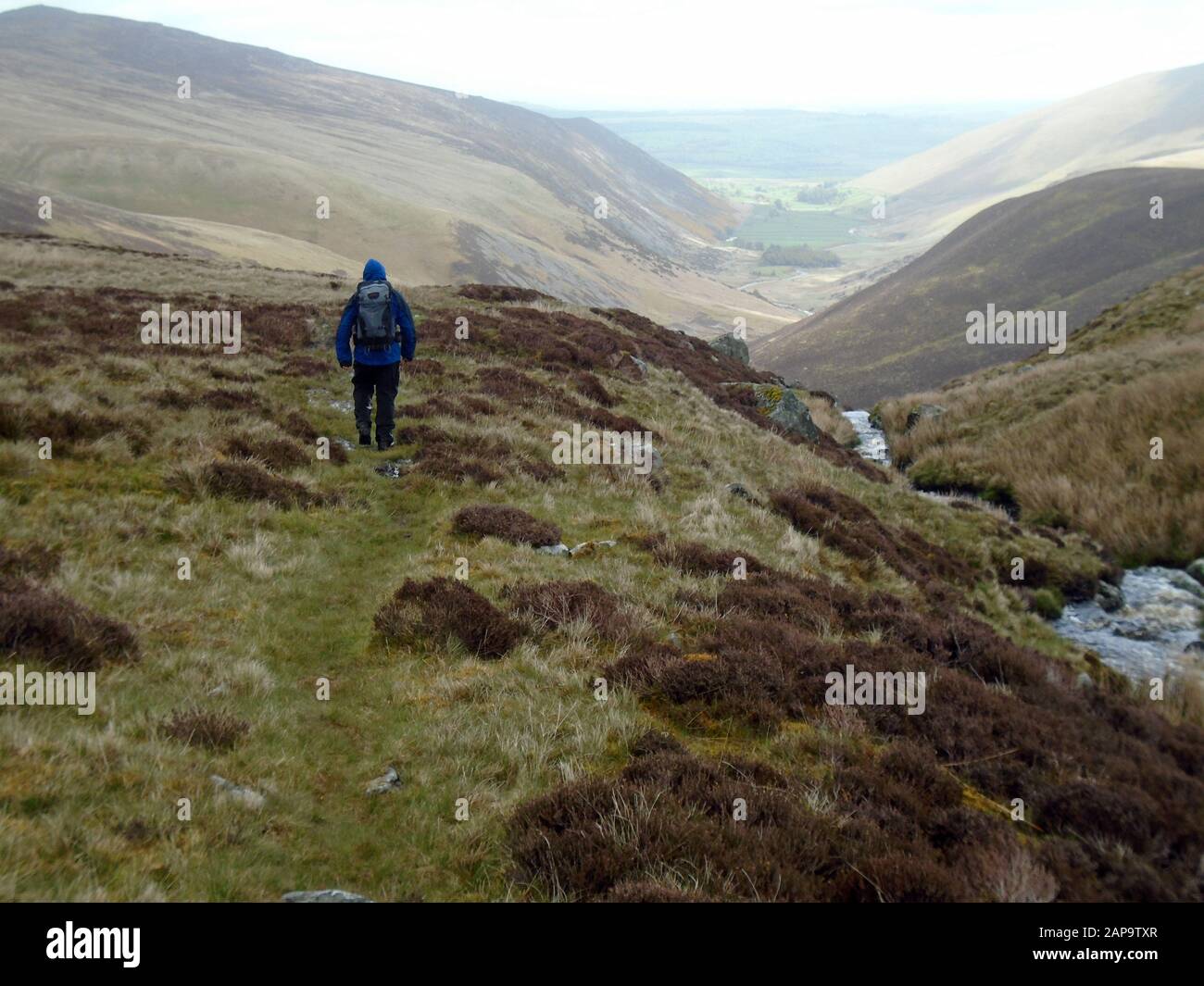 Lone Man Walking on the Cumbria Way Path by Grainsgill Beck from the ...