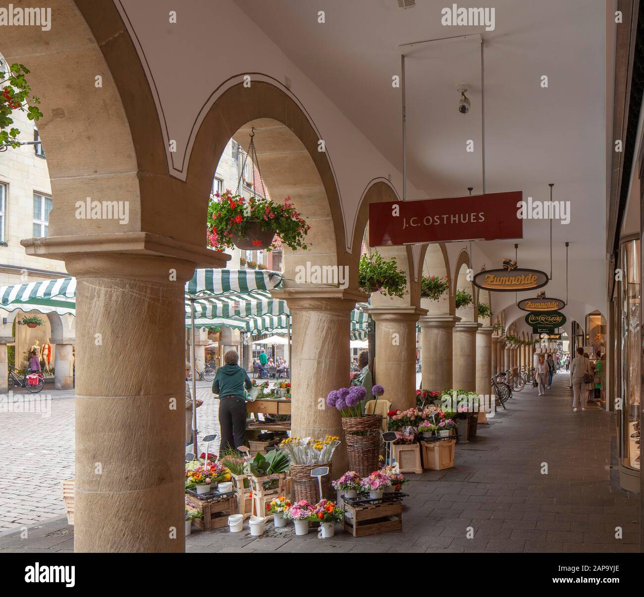 Sales stand with flowers under the arcades at prinzipalmarkt hi-res ...