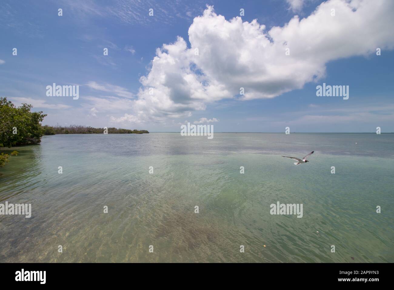 Pigeon key seven mile bridge hi-res stock photography and images - Alamy