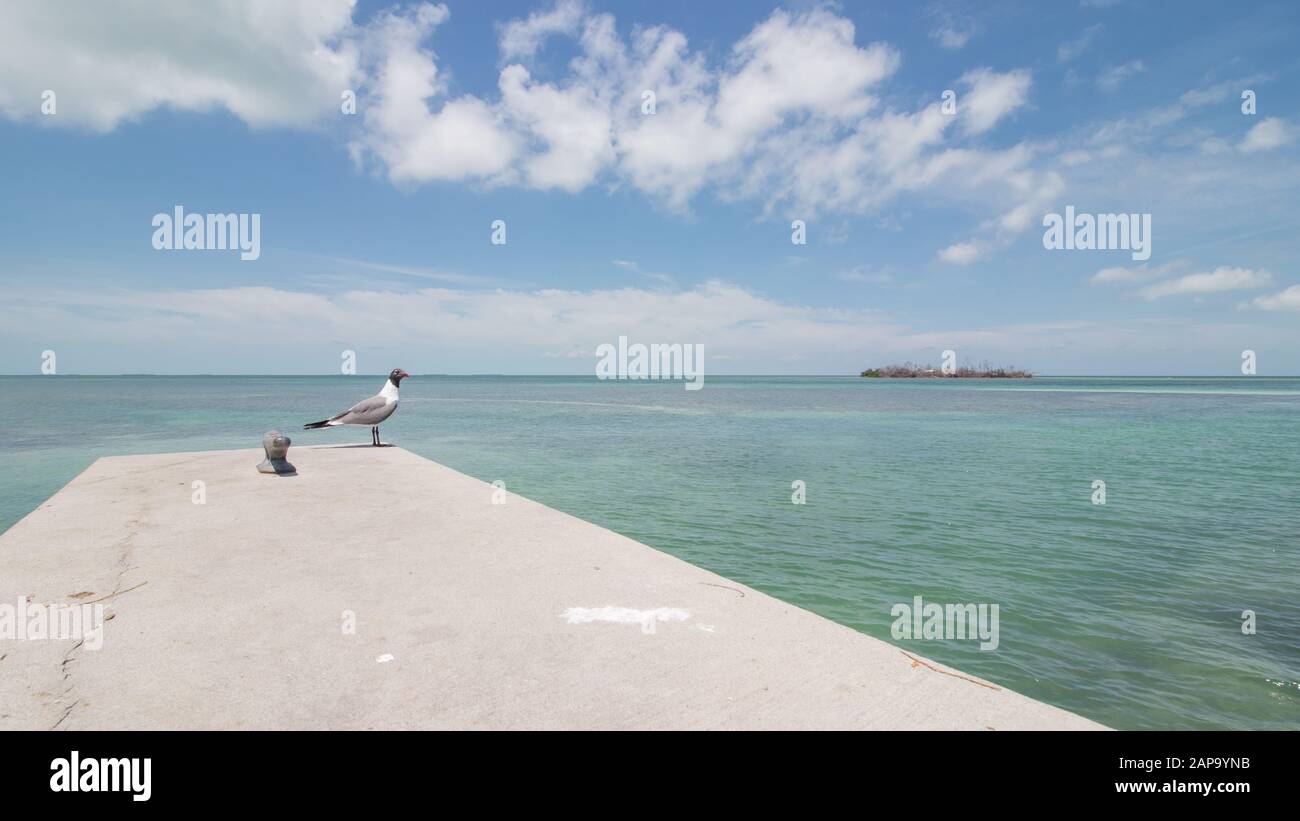 keys island florida, seven miles bridge Stock Photo - Alamy