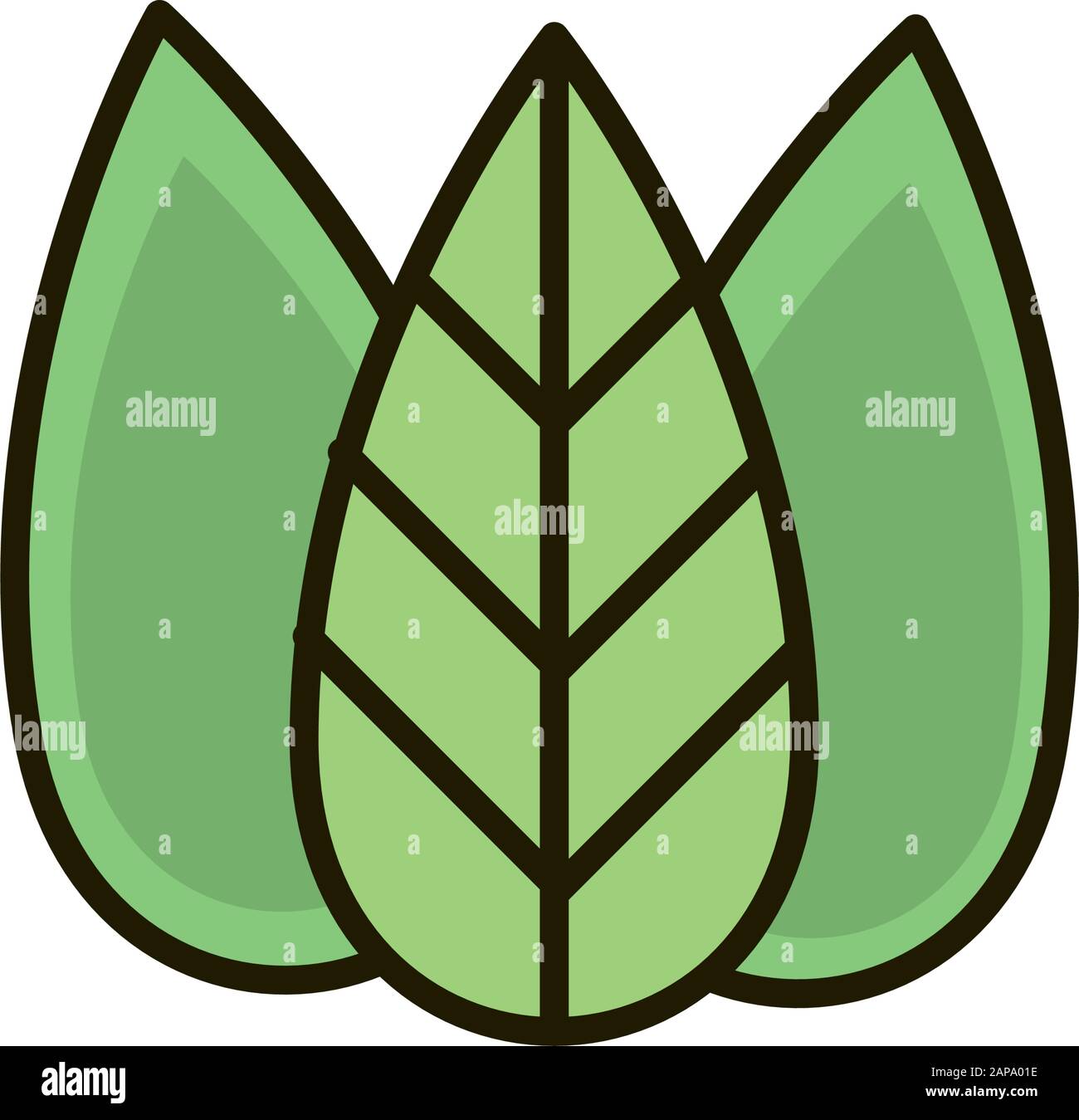 ecology environment leaves foliage nature drawing vector illustration ...