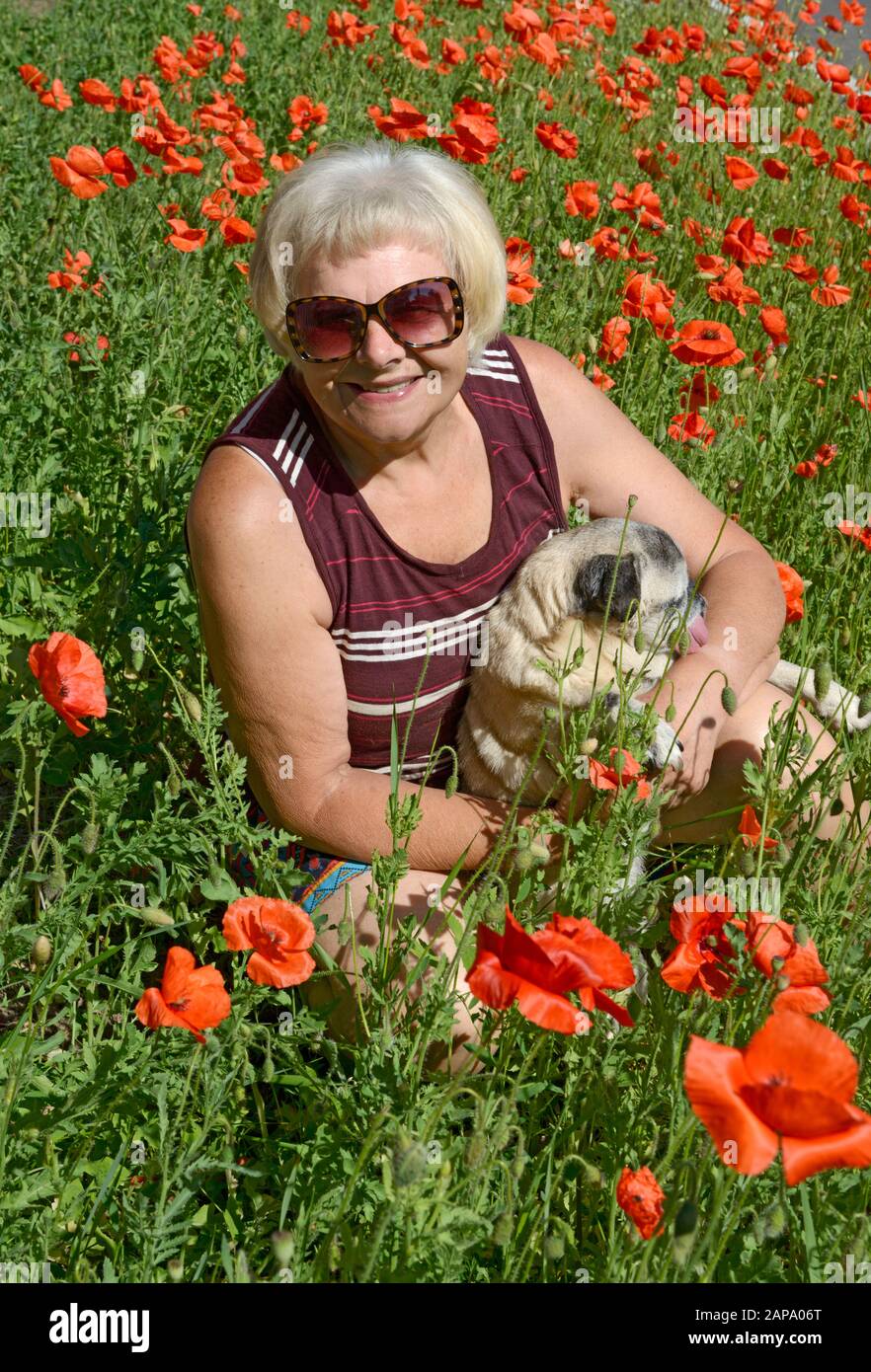 Close-up elderly woman portrait that sitting crouch down with pet pug ...