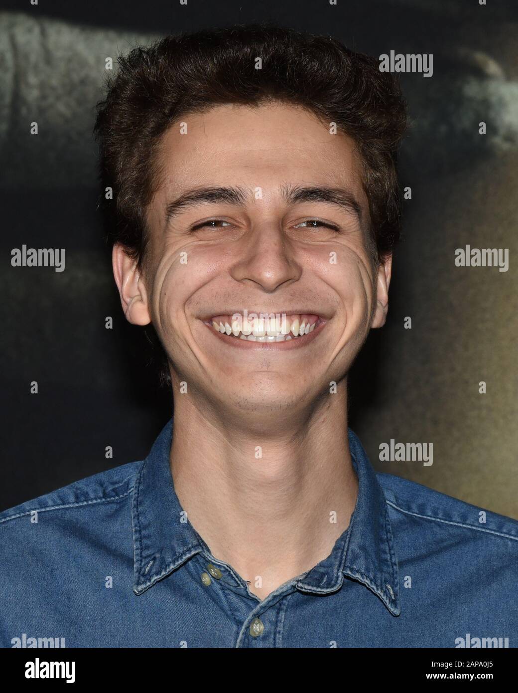 January 21, 2020, Hollywood, CA, USA: Gabe Erwin at the Universal ...