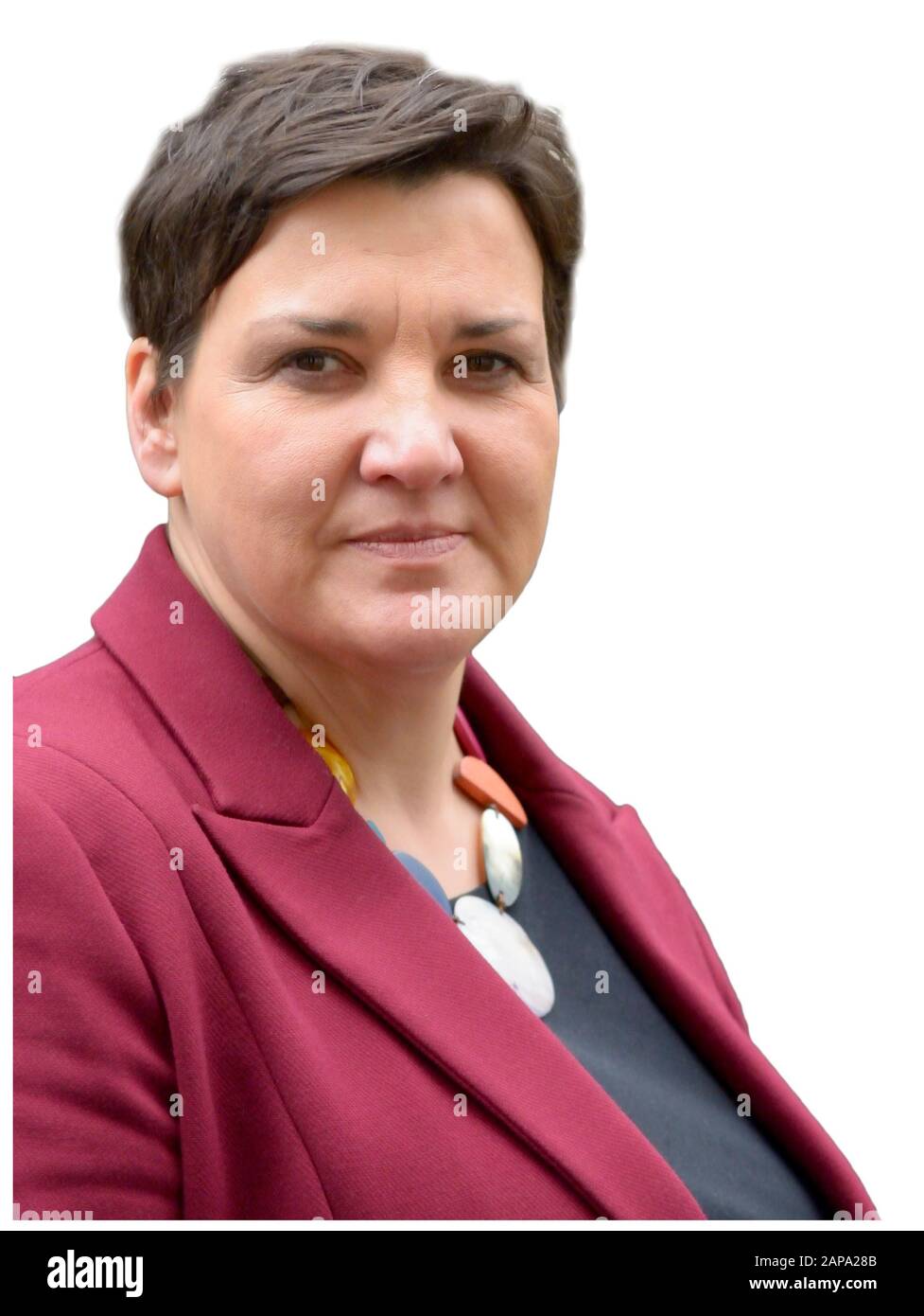 Tonia antoniazzi labour mp hi-res stock photography and images - Alamy