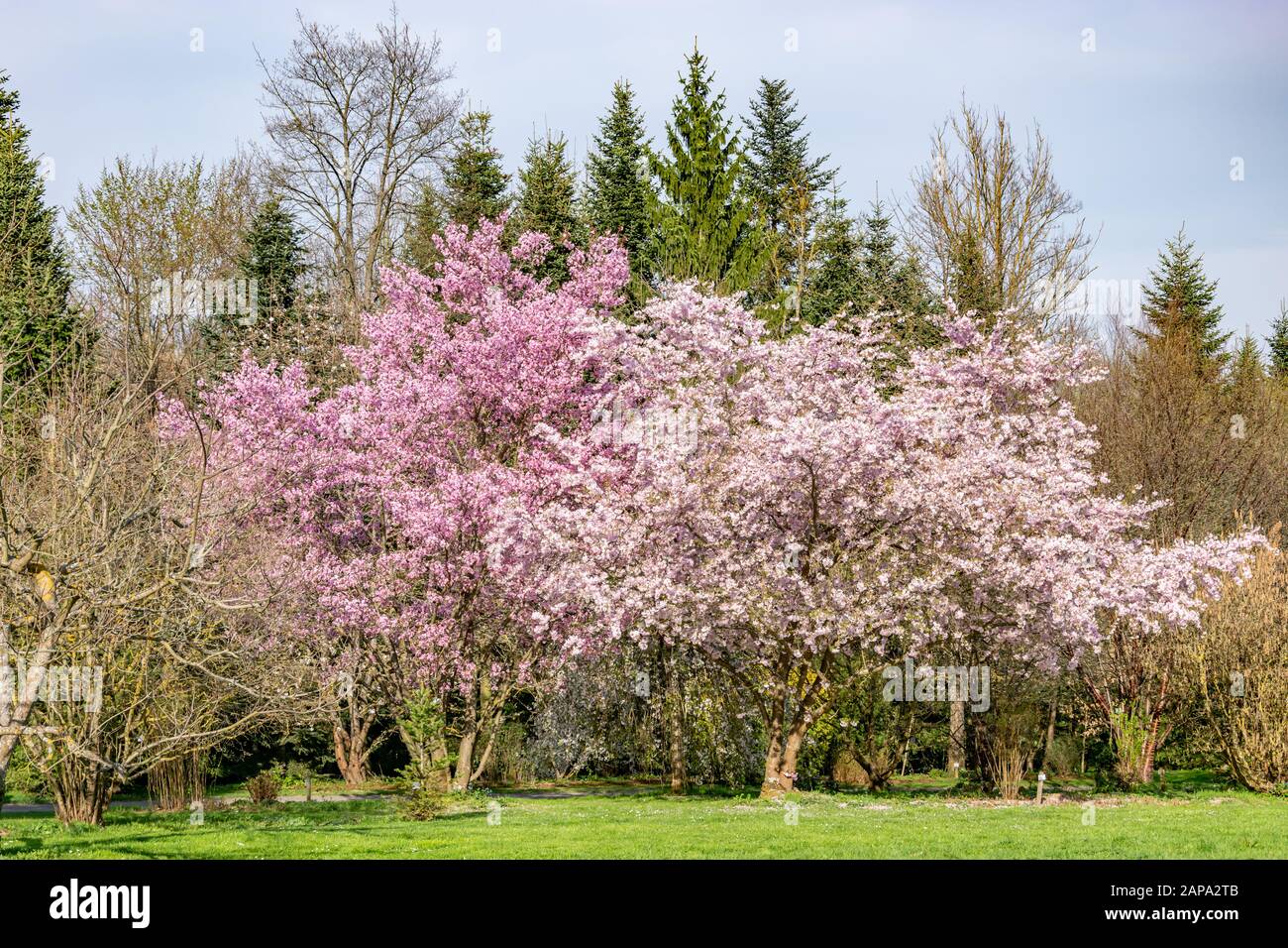 Spring in Stuttgart Stock Photo - Alamy