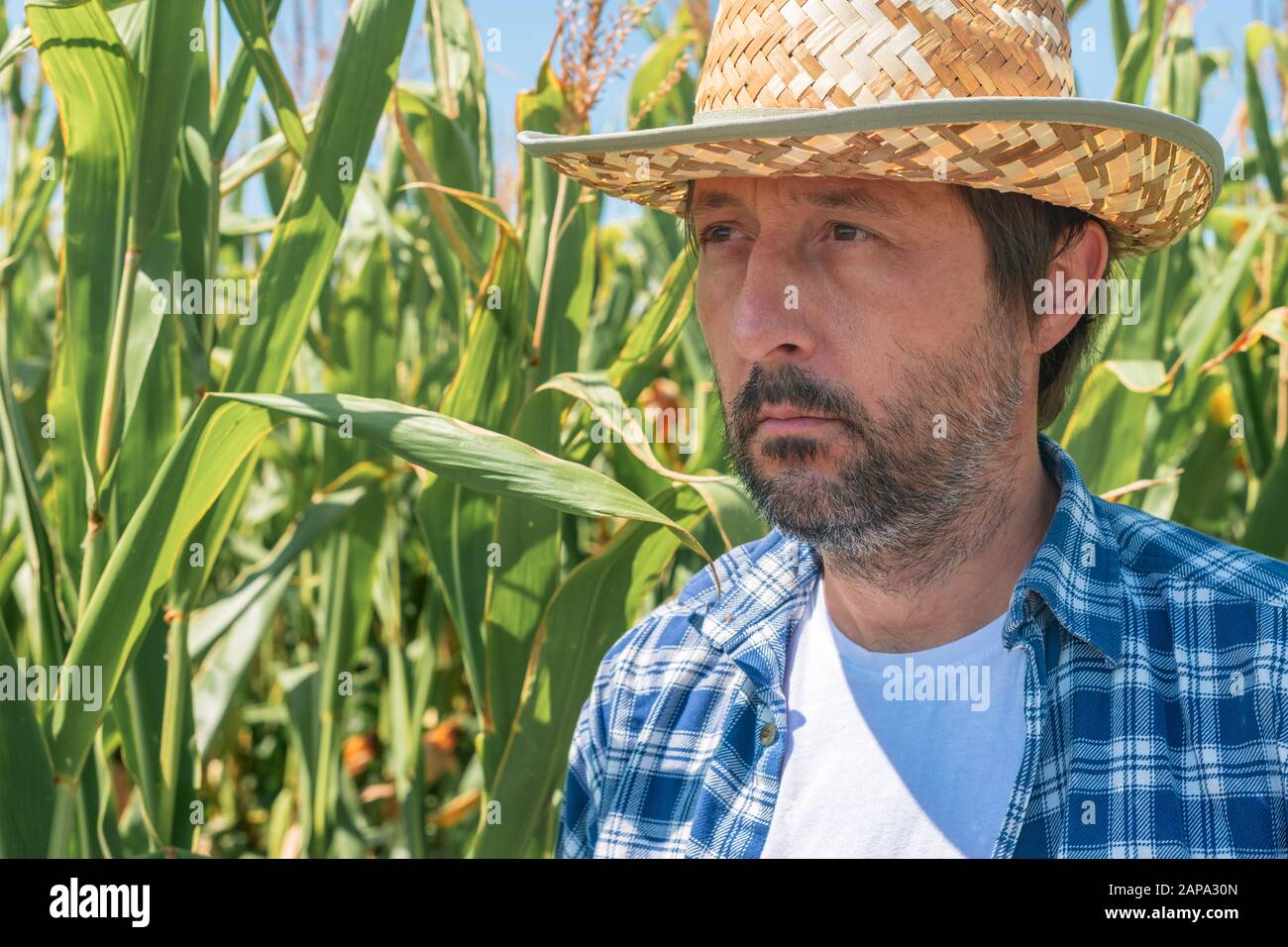 Kate Bandy's Instagram, Twitter & Facebook on IDCrawl