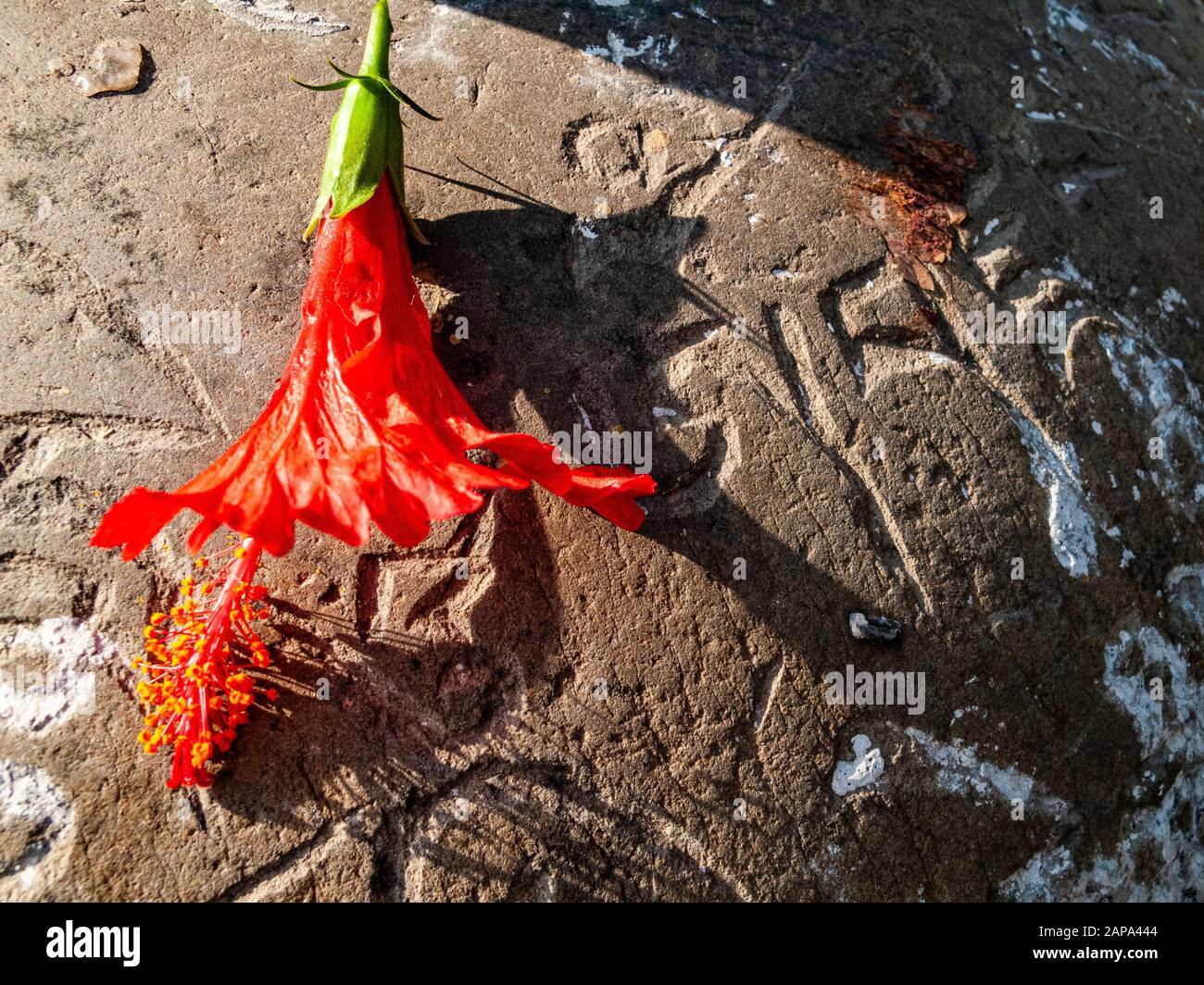 Tibetan script hi-res stock photography and images - Alamy