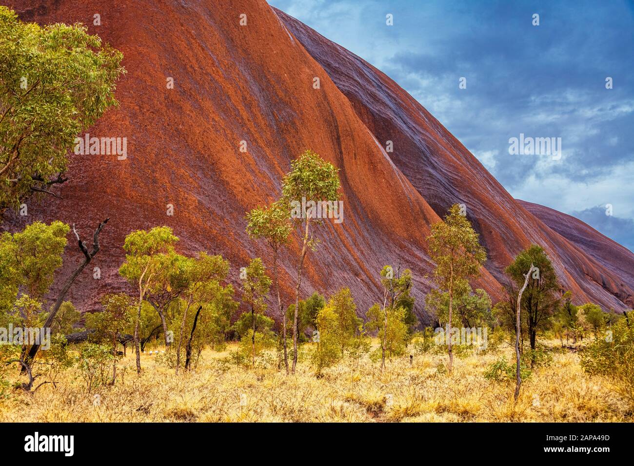Uluru (Ayres Rock) in the rain after a long drought. Northern Territory ...