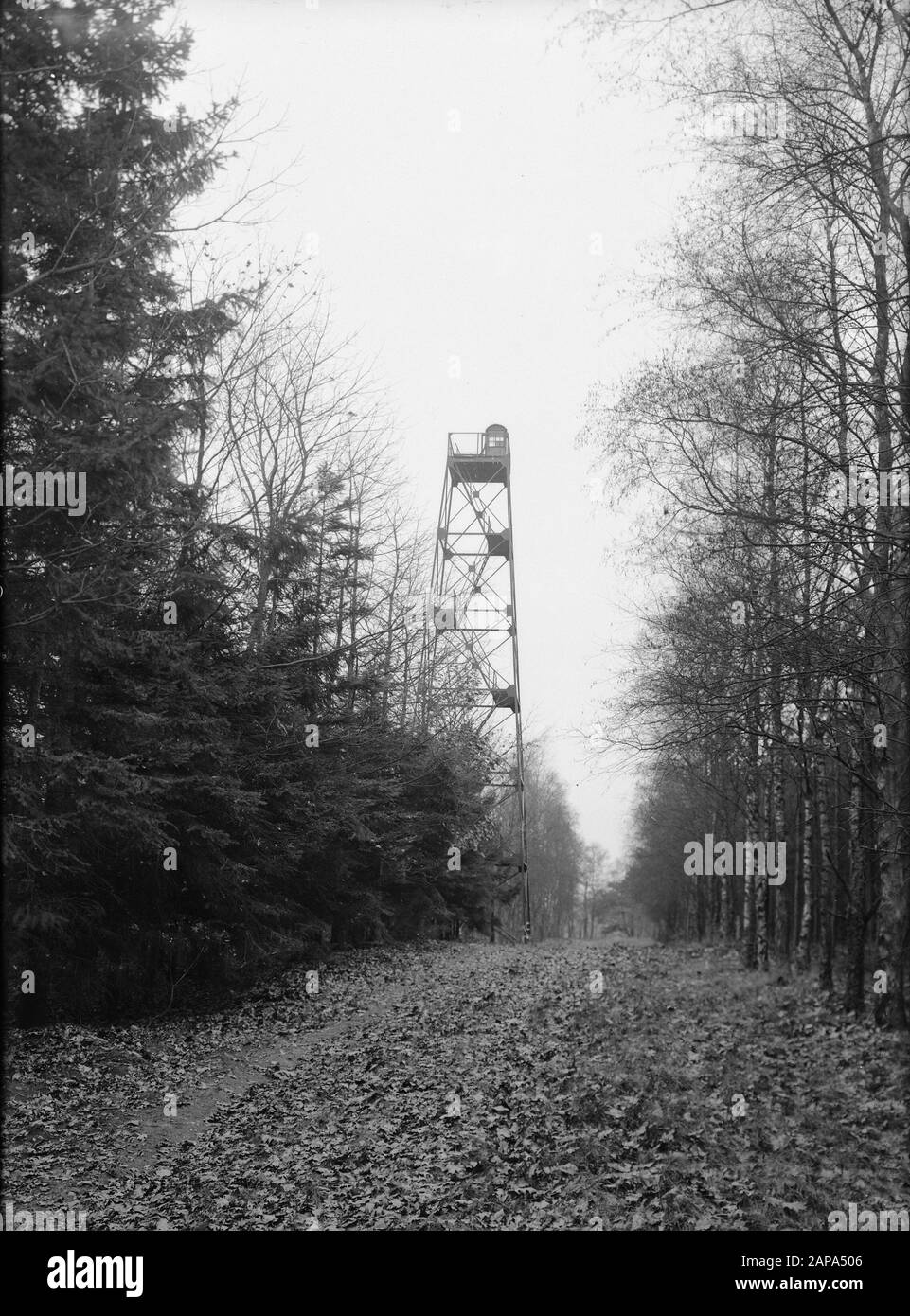 forest fire and storm damage, fire tower Date: undated Location: Hoog ...