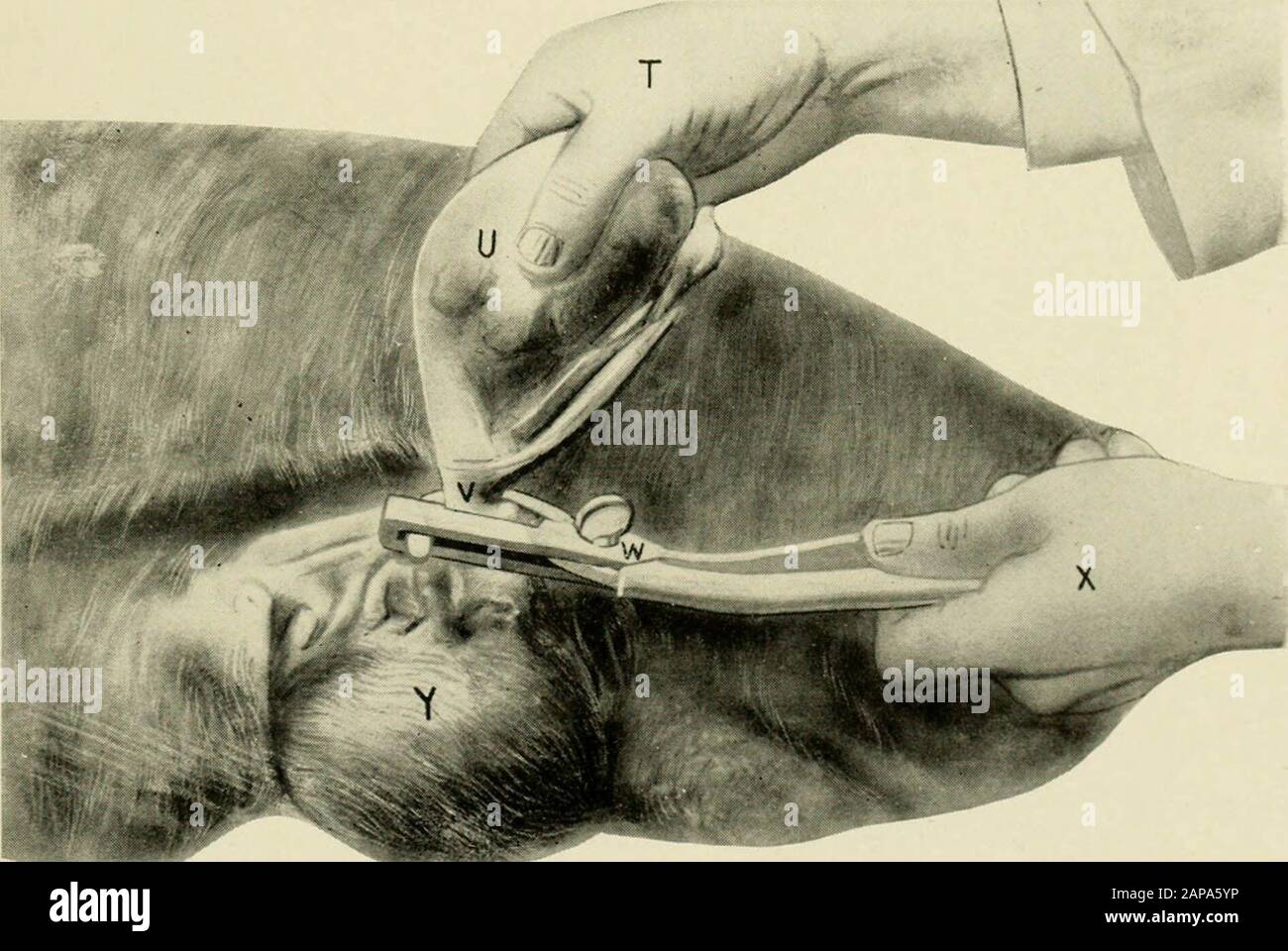 "Animal castration, a book for the use of students and practitioners ...