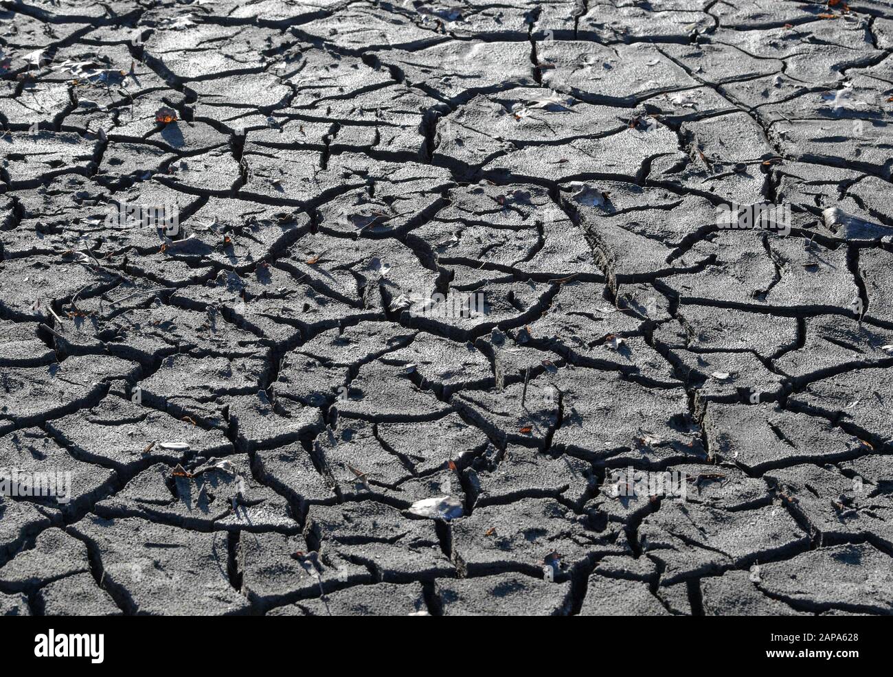 Drained fish pond hi-res stock photography and images - Alamy