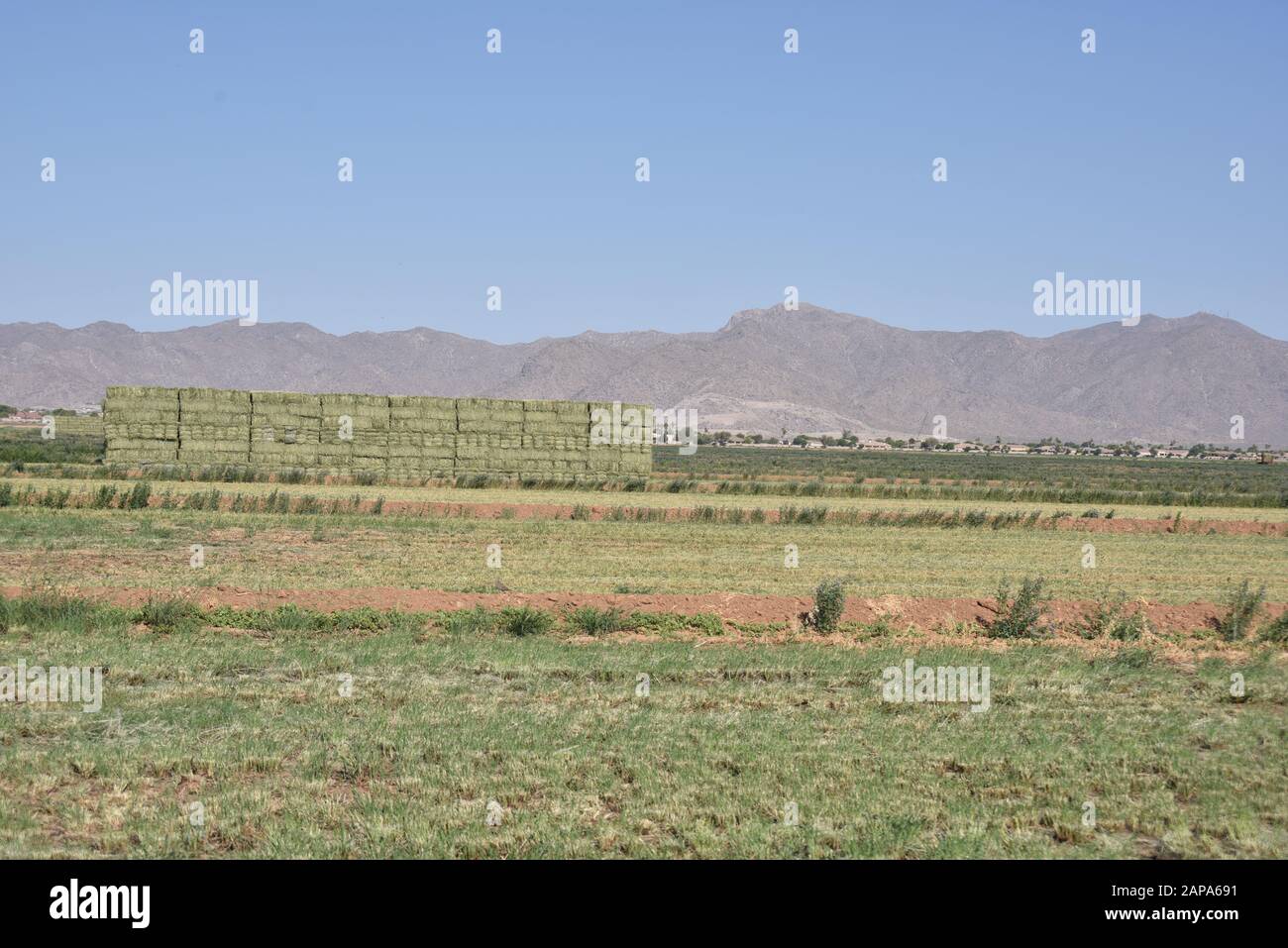 Baled hi-res stock photography and images - Alamy