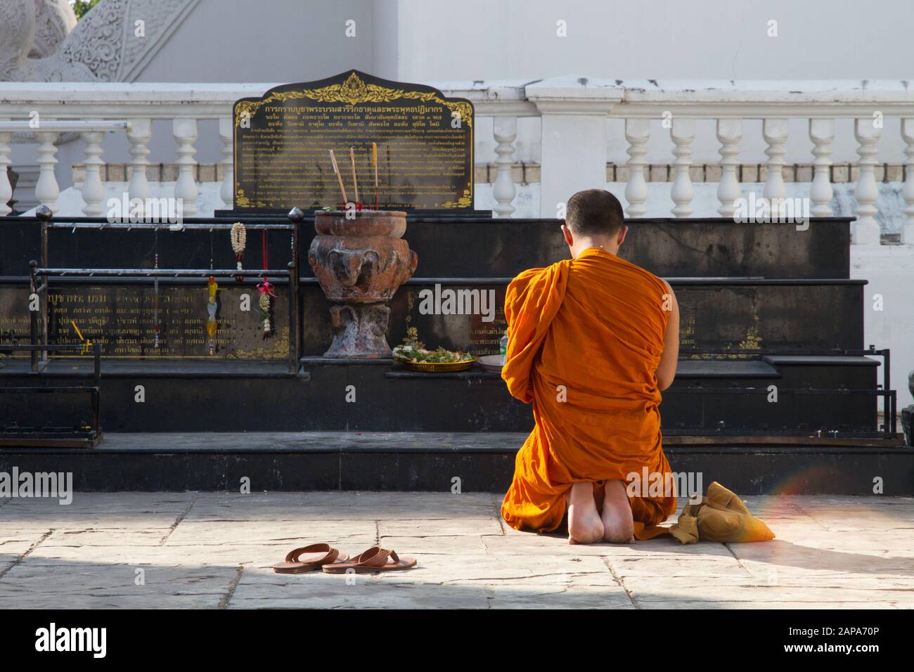 Buddhist Monk praying in front of altar in temple, Chiang Mai Thailand ...
