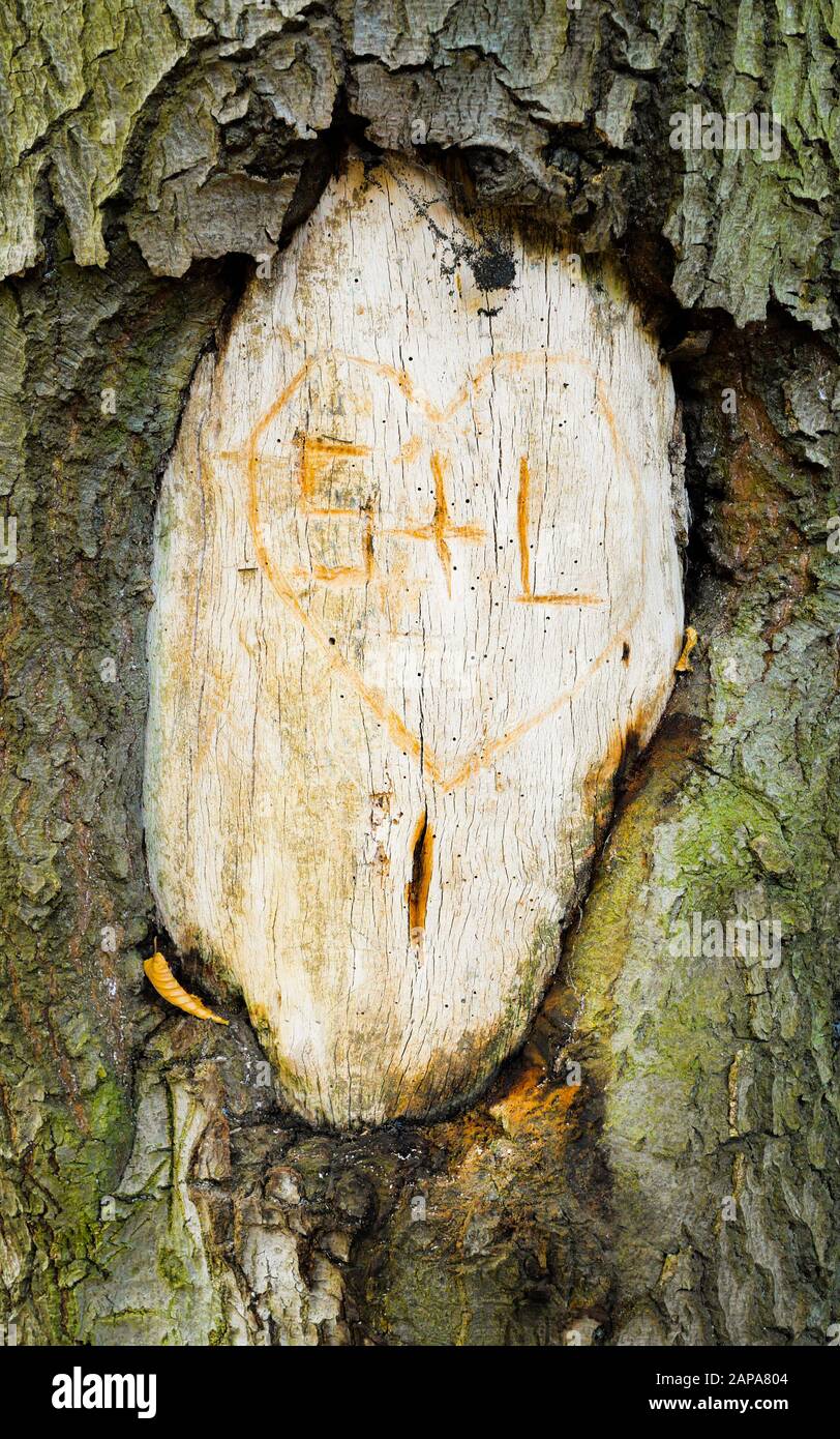 A message and bond of love between characters identified as S & L ...