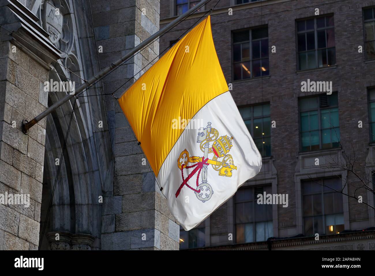 Roman Catholic Church Flag