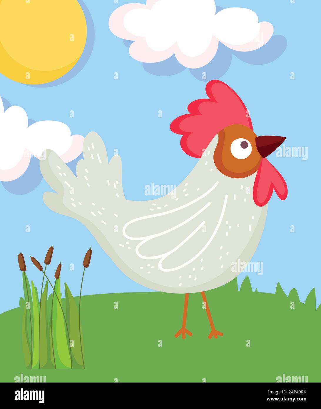 rooster bird grass sun farm animal cartoon vector illustration Stock ...
