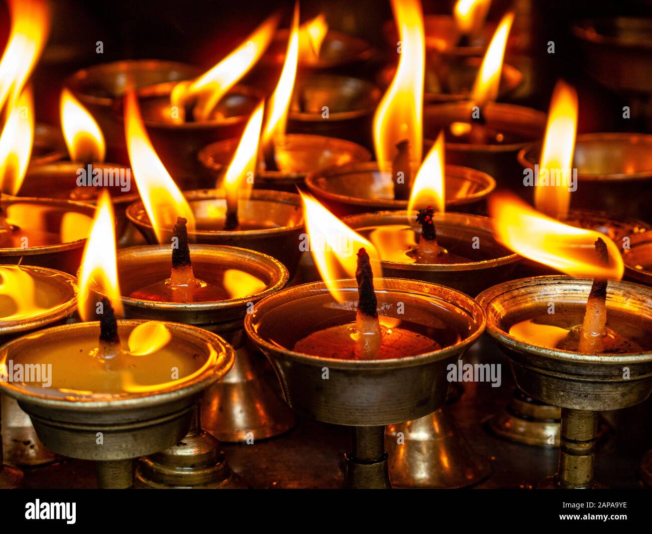 The flickering flames of tibetan butter lamps in a temple Stock Photo ...