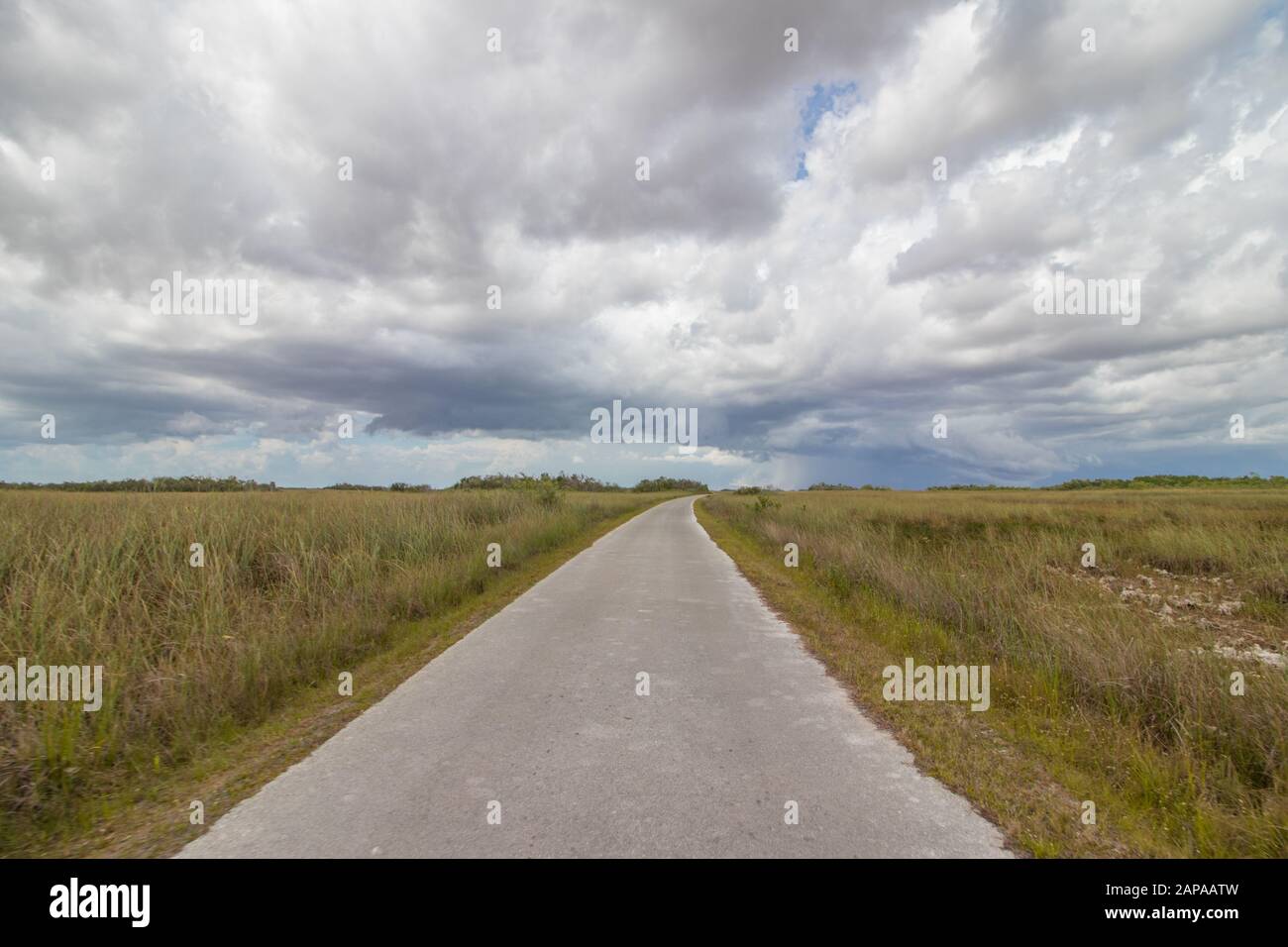 Everglades airboat aerial hi-res stock photography and images - Alamy