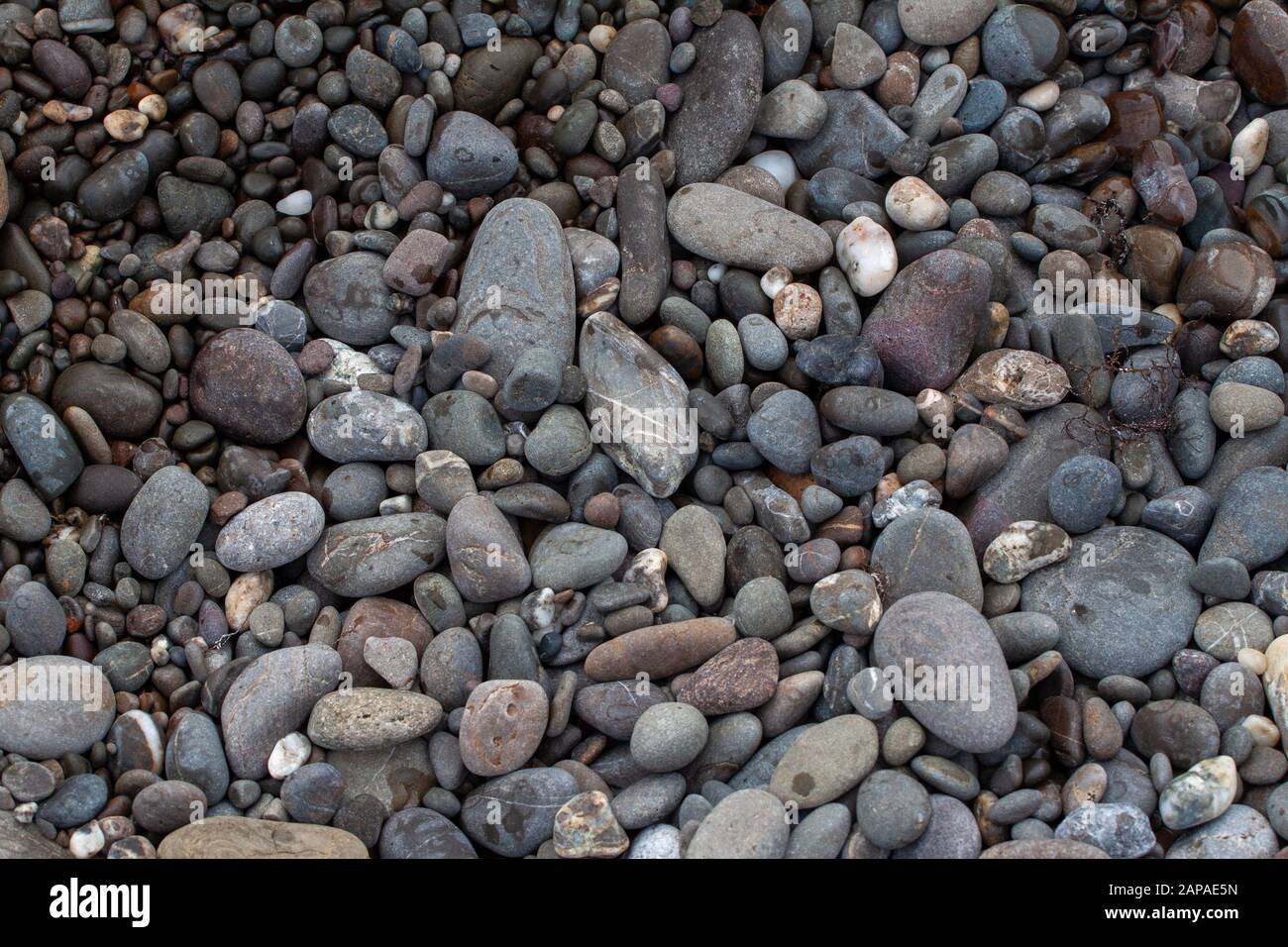 sea pebbles colored granite on the beach background stones. The shore ...