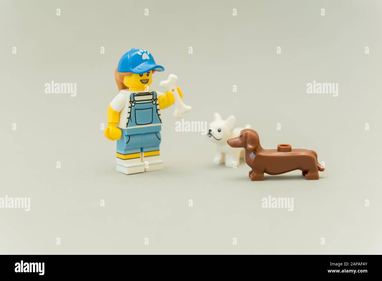 Florianopolis - Brazil, May 5, 2019: Lego minifigures of standing tamer ...