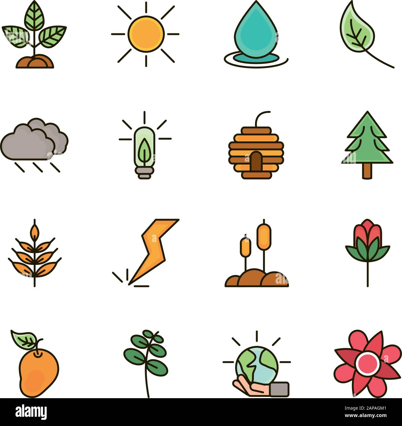 nature foliage botanical ecology drawing icons set vector illustration ...