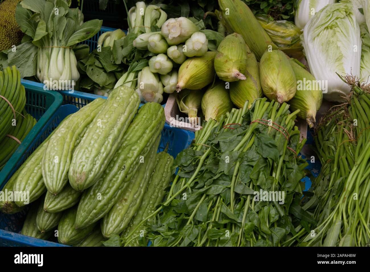 Vegetables in thailand hi-res stock photography and images - Alamy