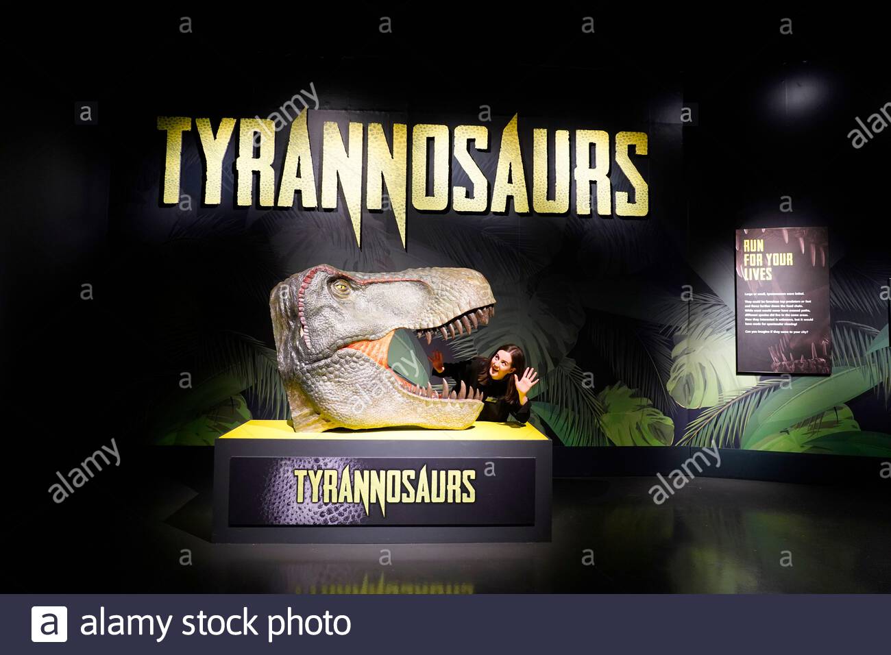 Predators exhibit exhibits exhibition exhibitions hi-res stock ...