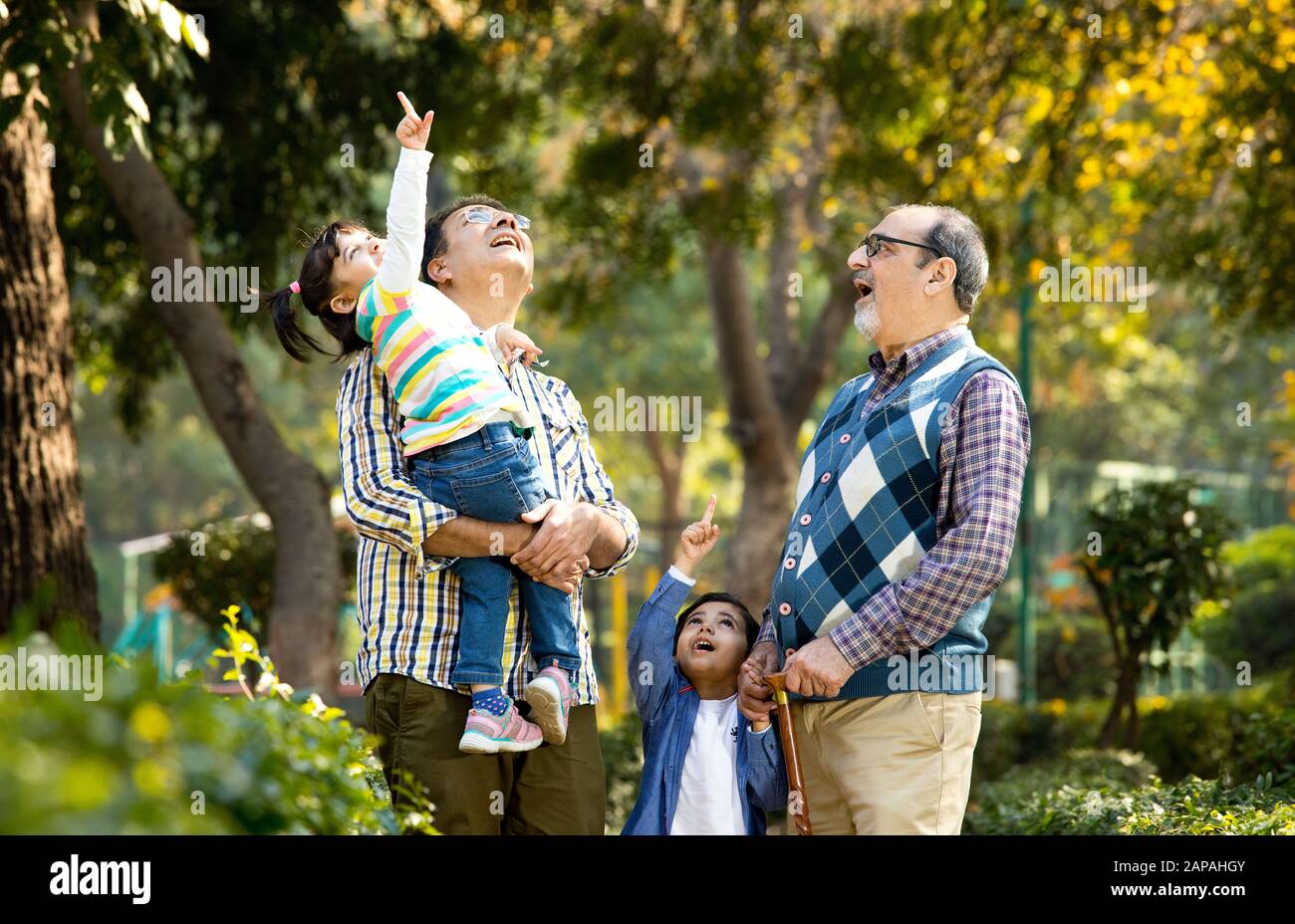 Happy multi generation Indian family at park outdoor Stock Photo - Alamy