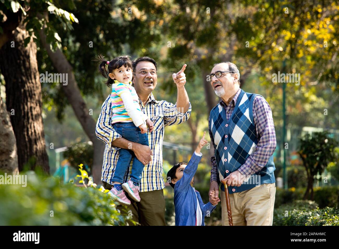 Happy multi generation Indian family at park outdoor Stock Photo - Alamy