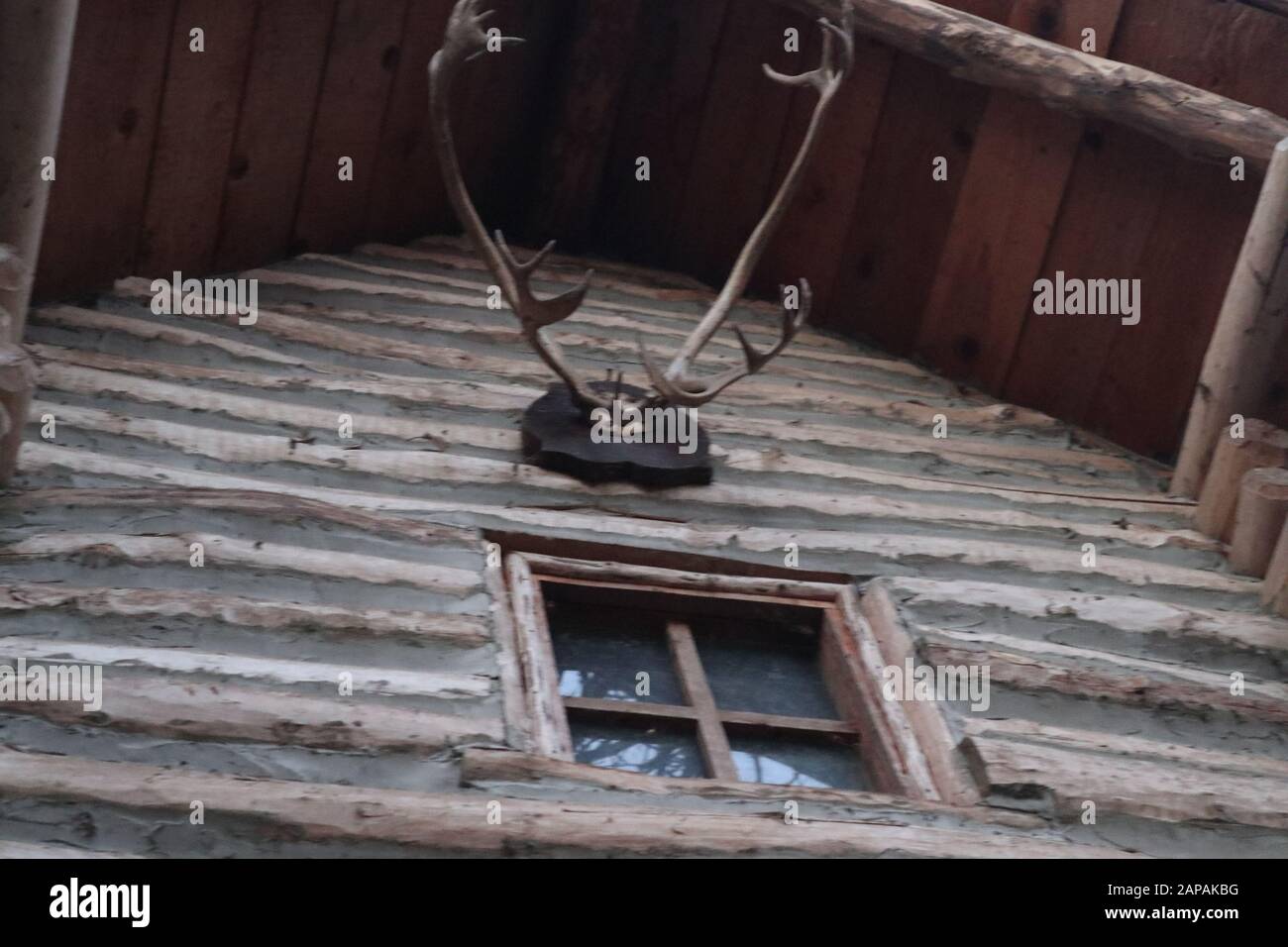 an old American wild west wooden hut Stock Photo - Alamy