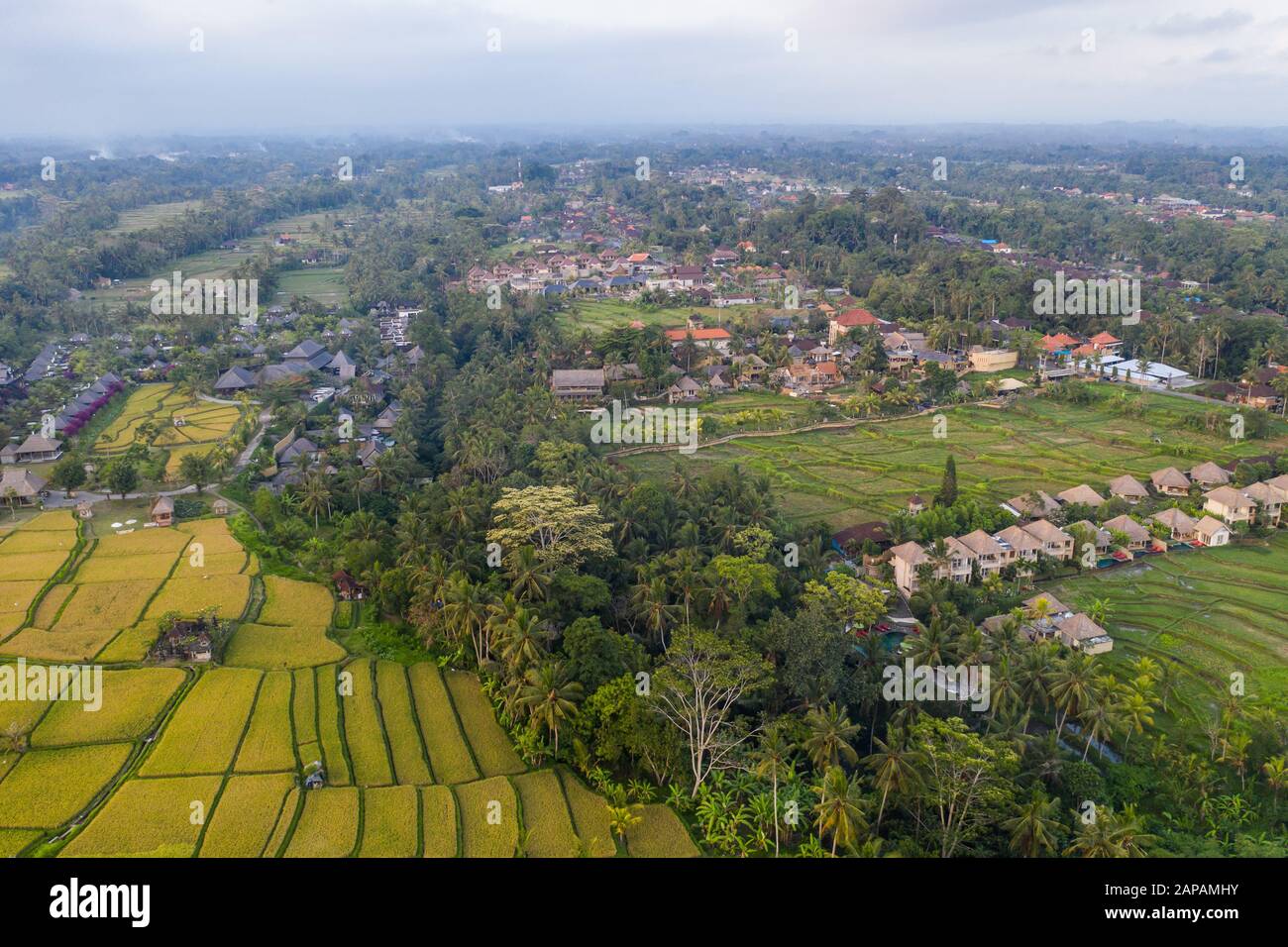 Ubud path field Stock Photo - Alamy