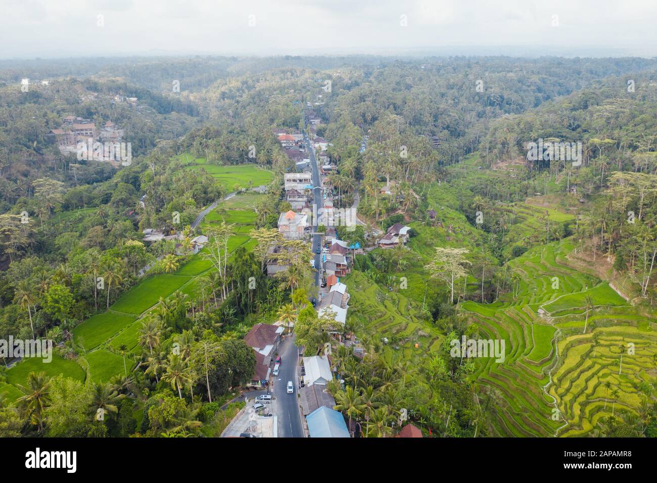 Ubud path field Stock Photo - Alamy