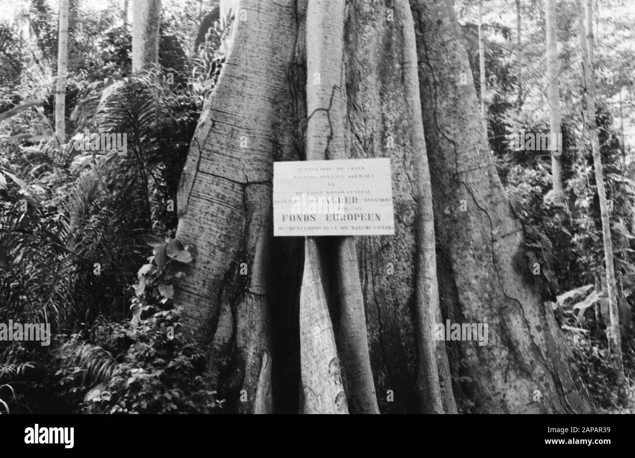 trees, signs Date: undated Keywords: trees, signs Stock Photo - Alamy