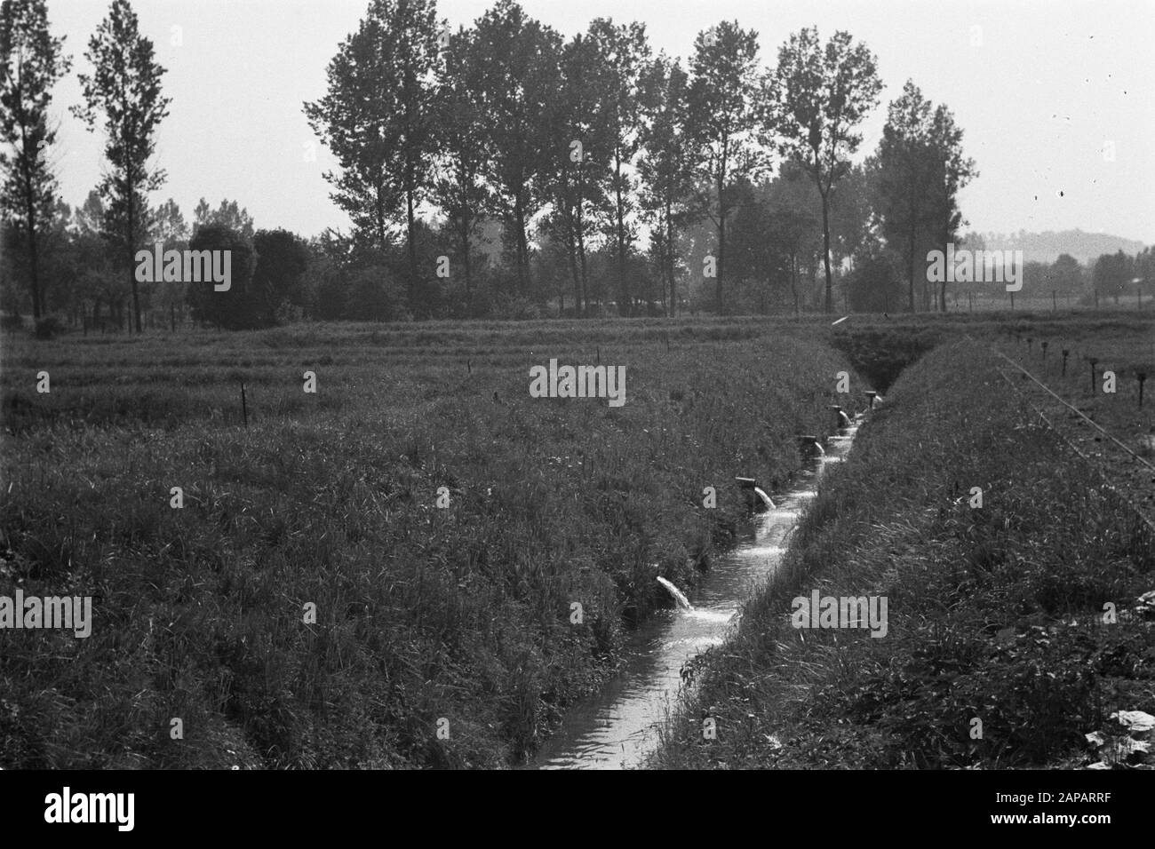 drainage of breeding ponds Date: 1949 Location: Gulpen Keywords: drain ...