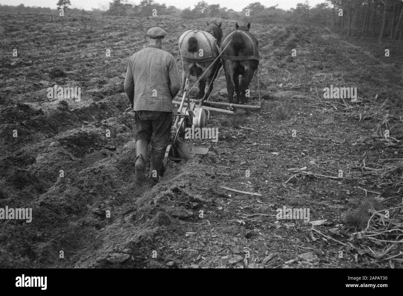 Forestry management crew hi-res stock photography and images - Alamy