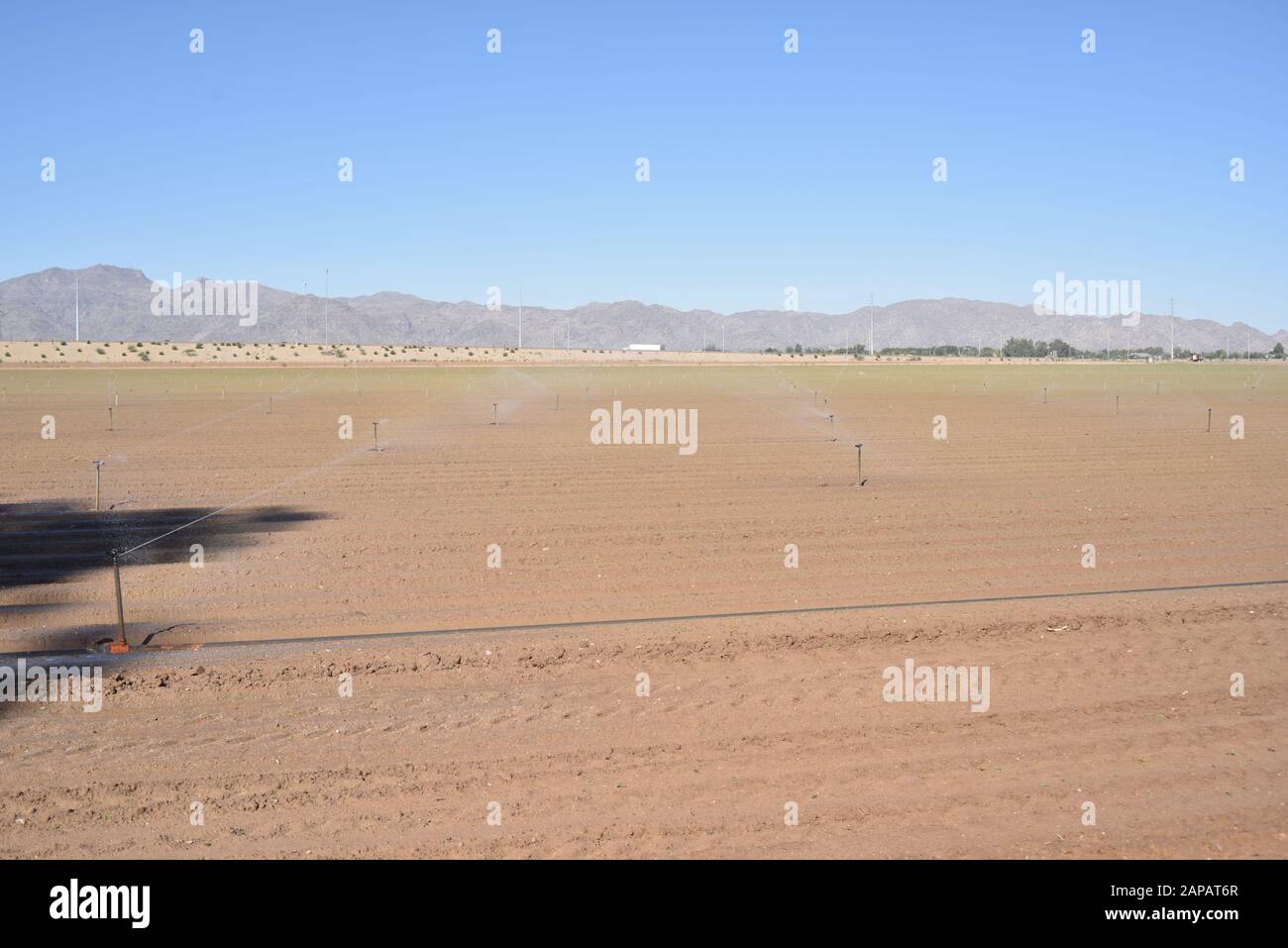 Arizona sprinkler irrigation Stock Photo - Alamy
