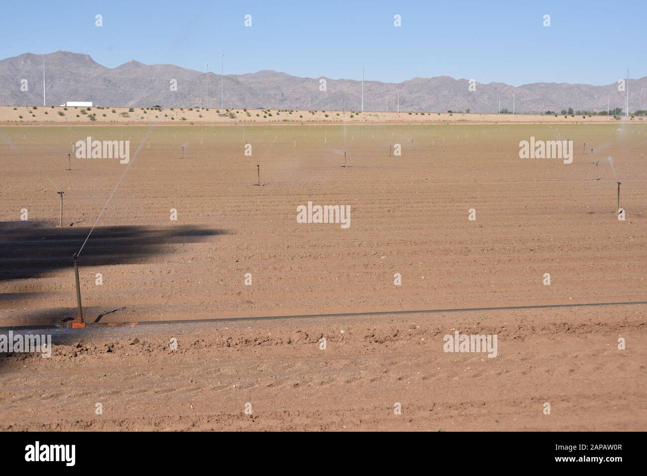 Arizona sprinkler irrigation Stock Photo - Alamy