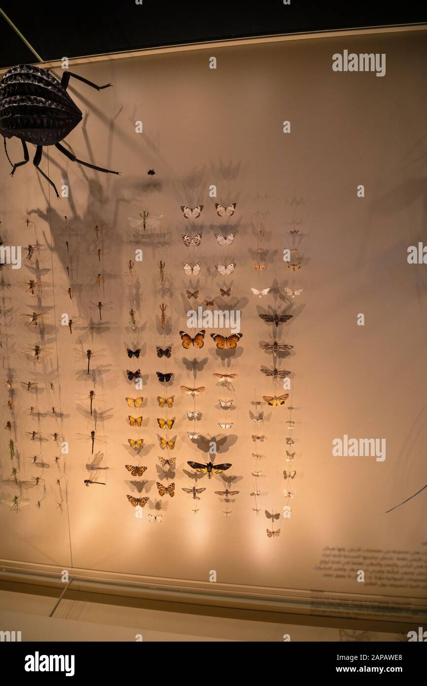 January 12, 2020. Images from the Qatar National Museum is a national ...