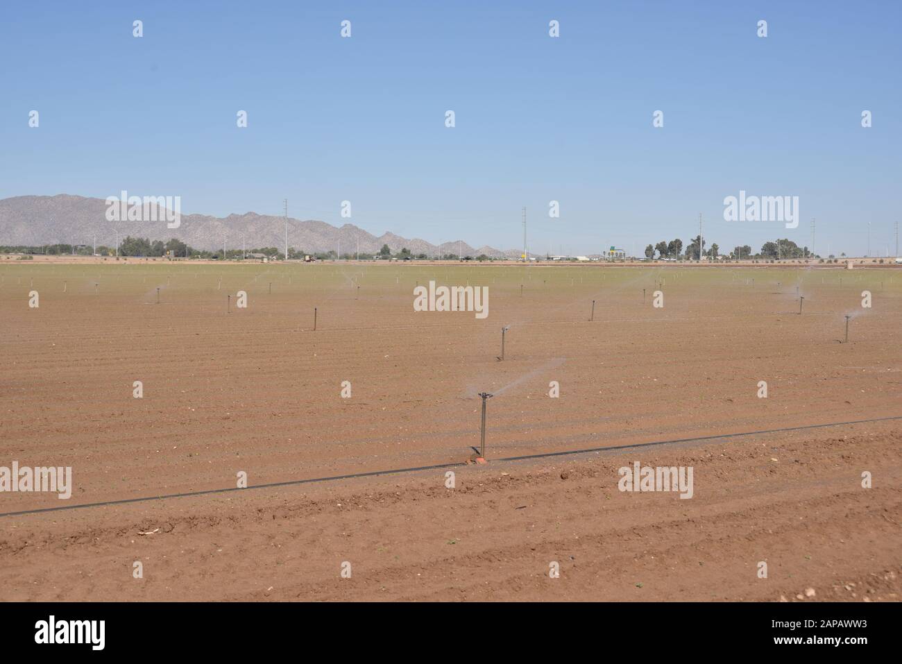 Arizona sprinkler irrigation Stock Photo - Alamy