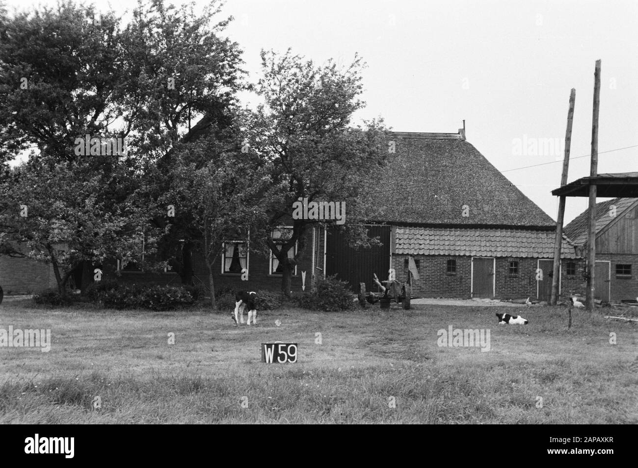 Linde farm hi-res stock photography and images - Alamy