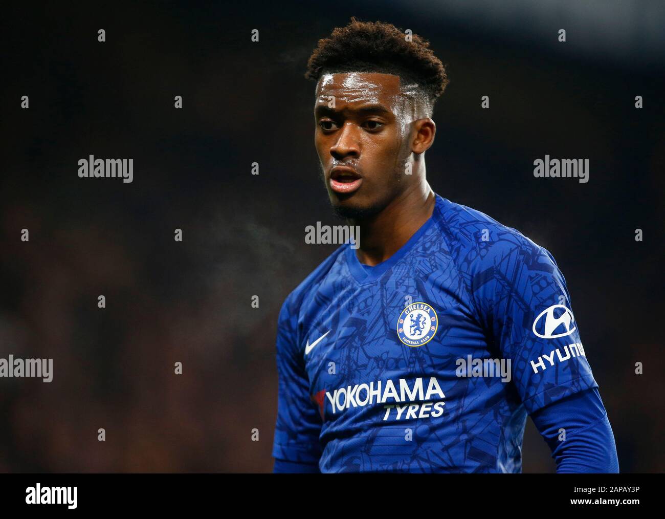 Chelsea's Callum Hudson-Odoi during English Premier League between ...
