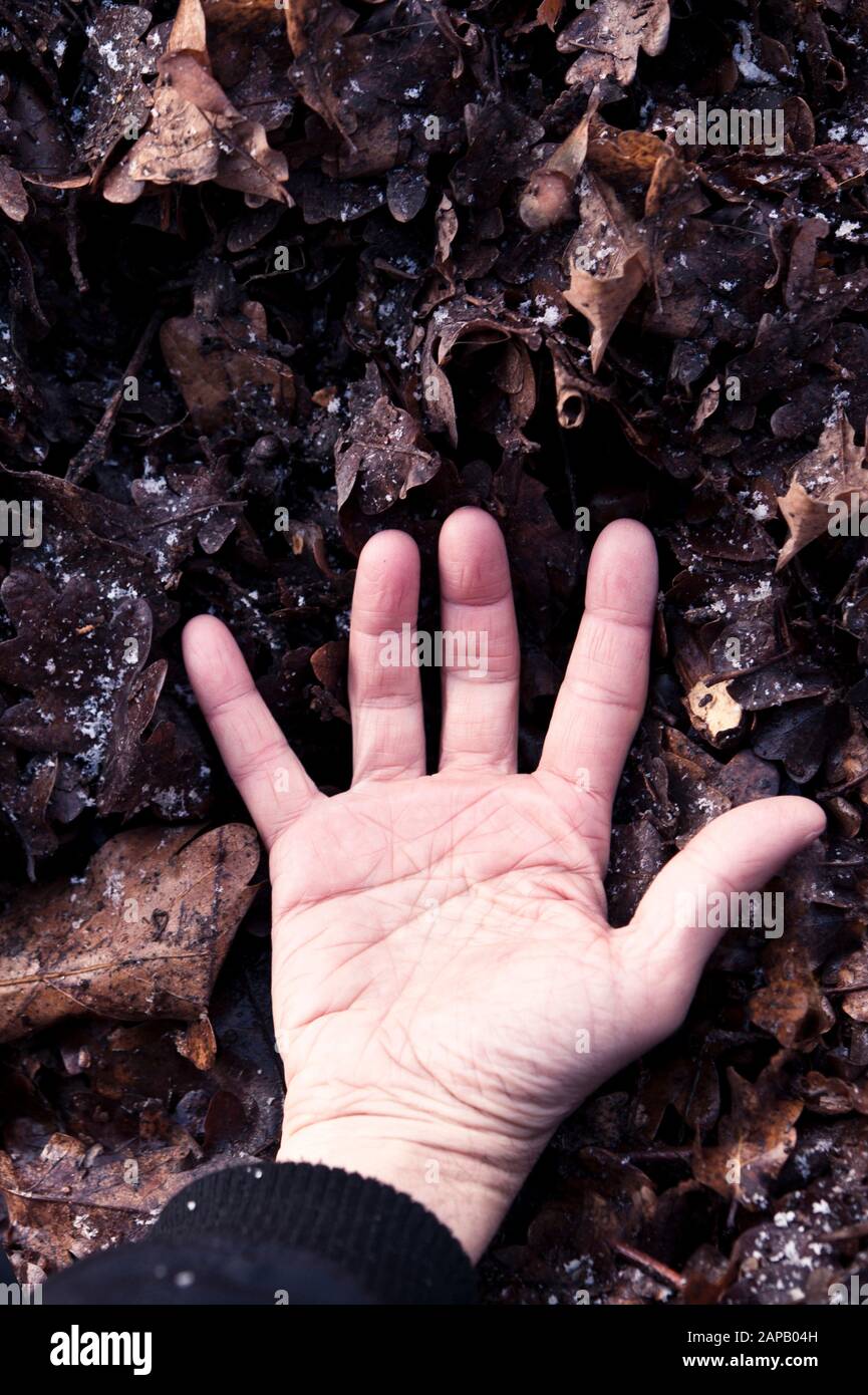 hand of a dead man over fallen autumn leaves Stock Photo - Alamy
