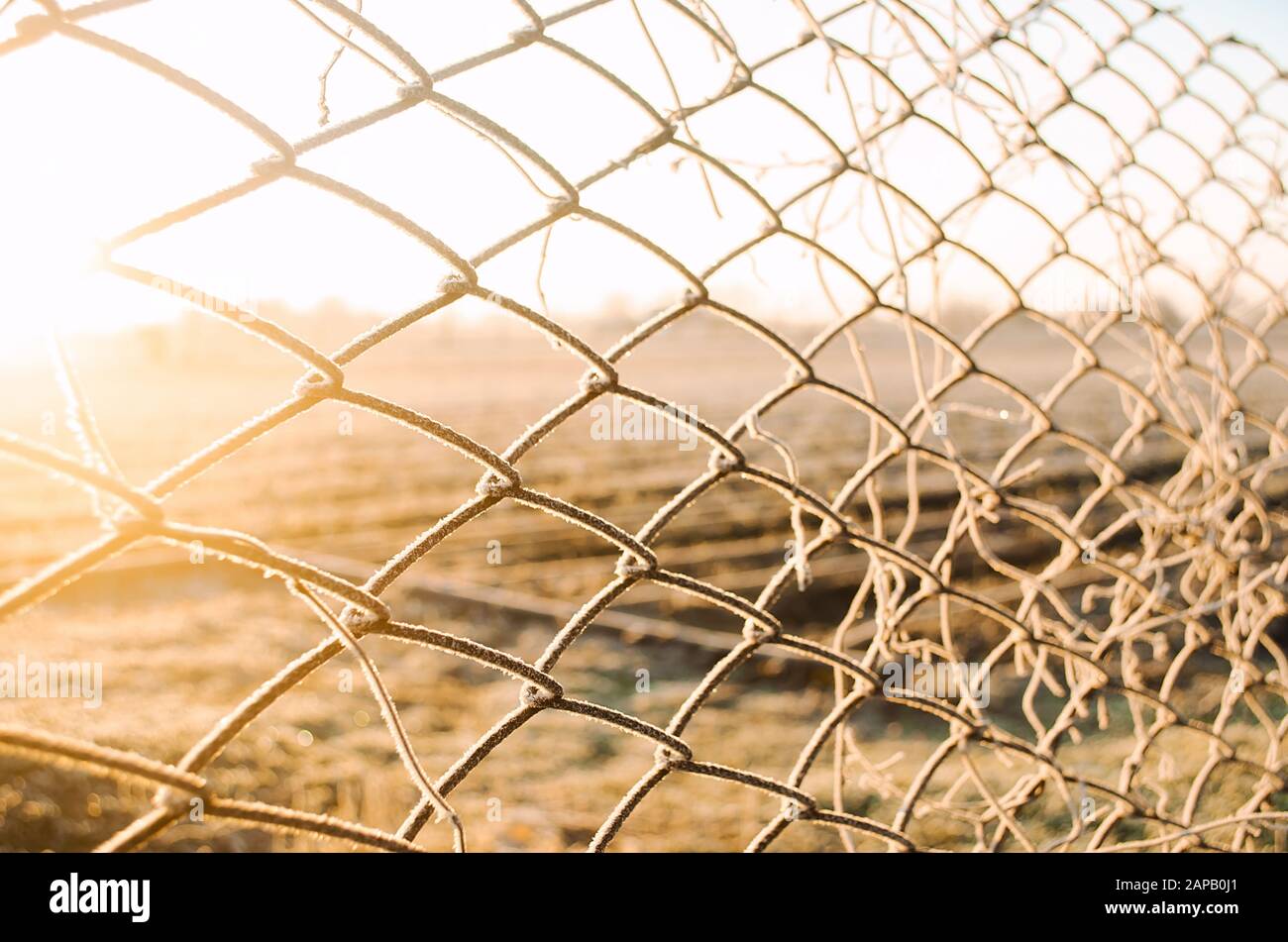 View of a winter farm field through a mesh fence. Beautiful sunrise in ...