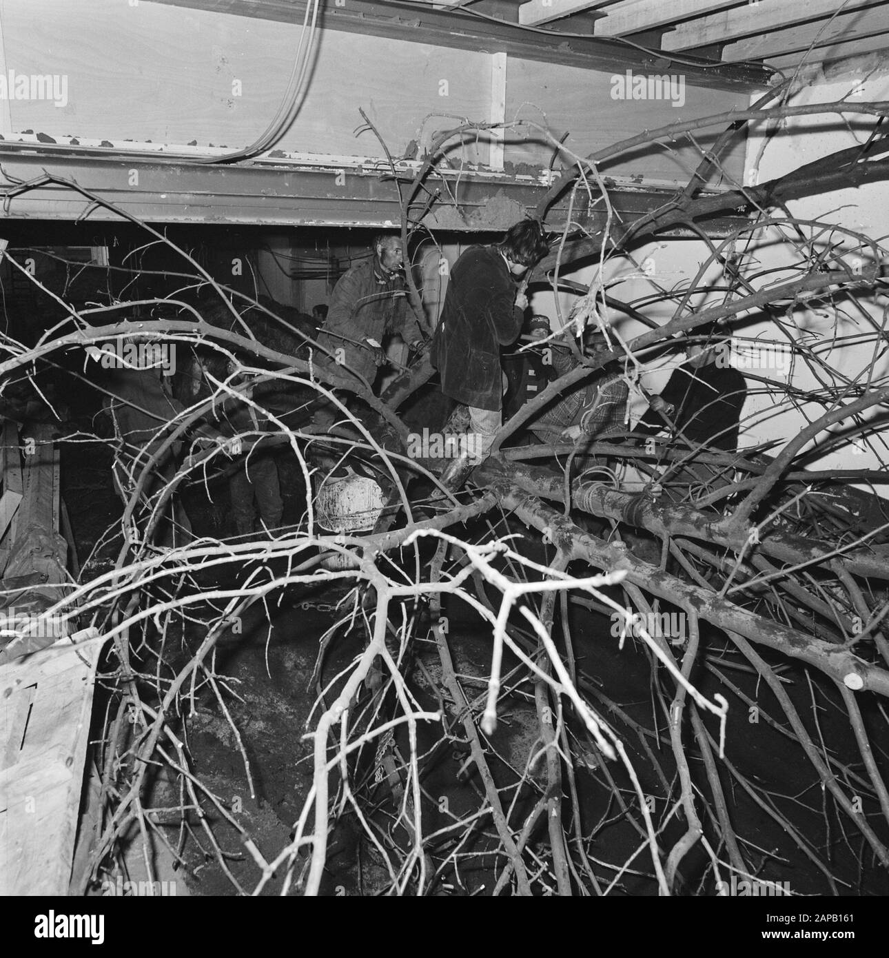 Boom is brought to Mees en Hope at Keizersgracht, commissioned Date ...