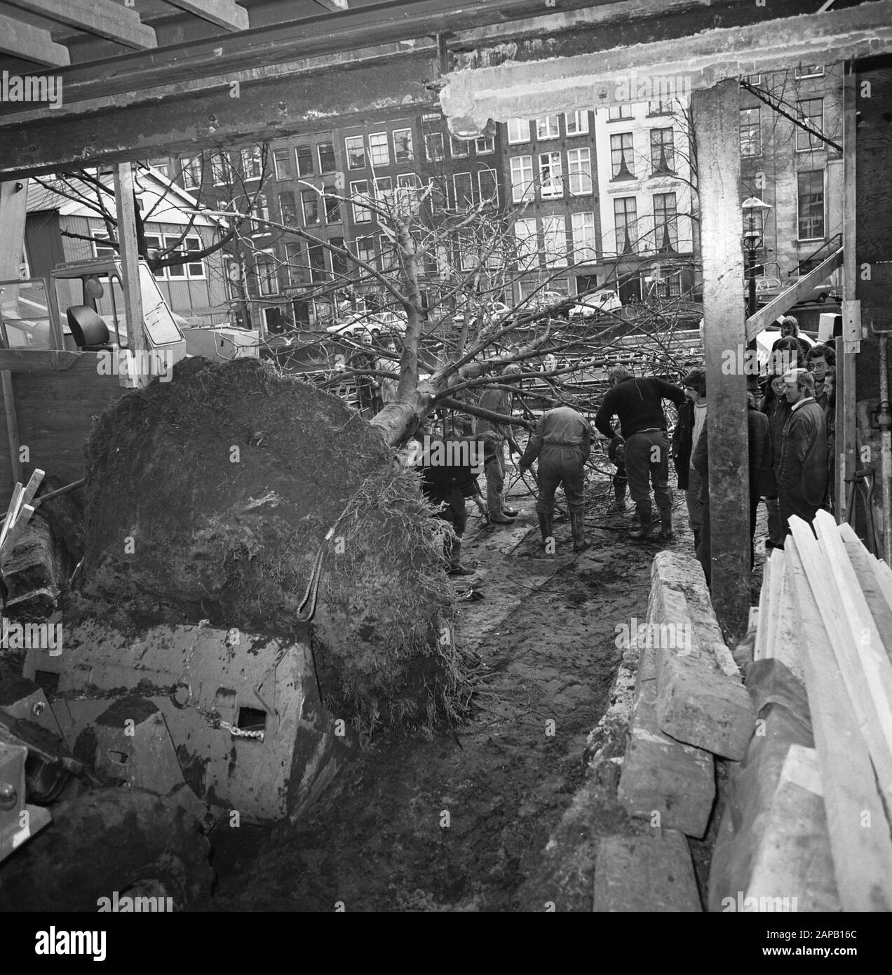 Boom is brought to Mees en Hope at Keizersgracht, commissioned Date ...