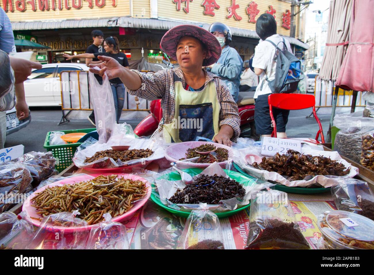 Market Stall Insects Food Proteins Chiang Mai Thailand Thai Asia Hi Res
