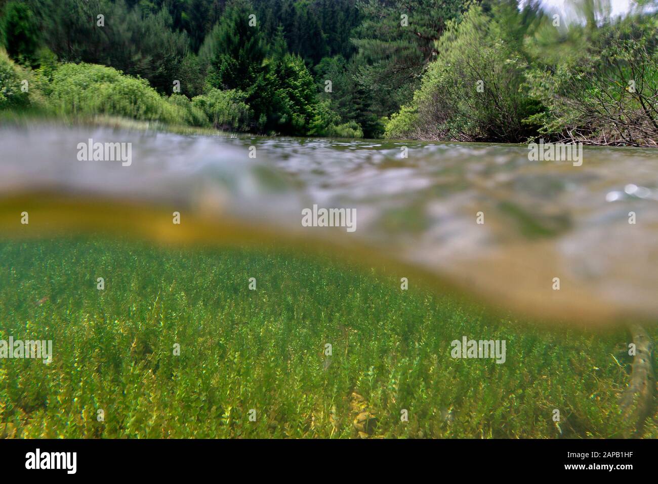 The Licka Jesenica River in Croatia Stock Photo - Alamy